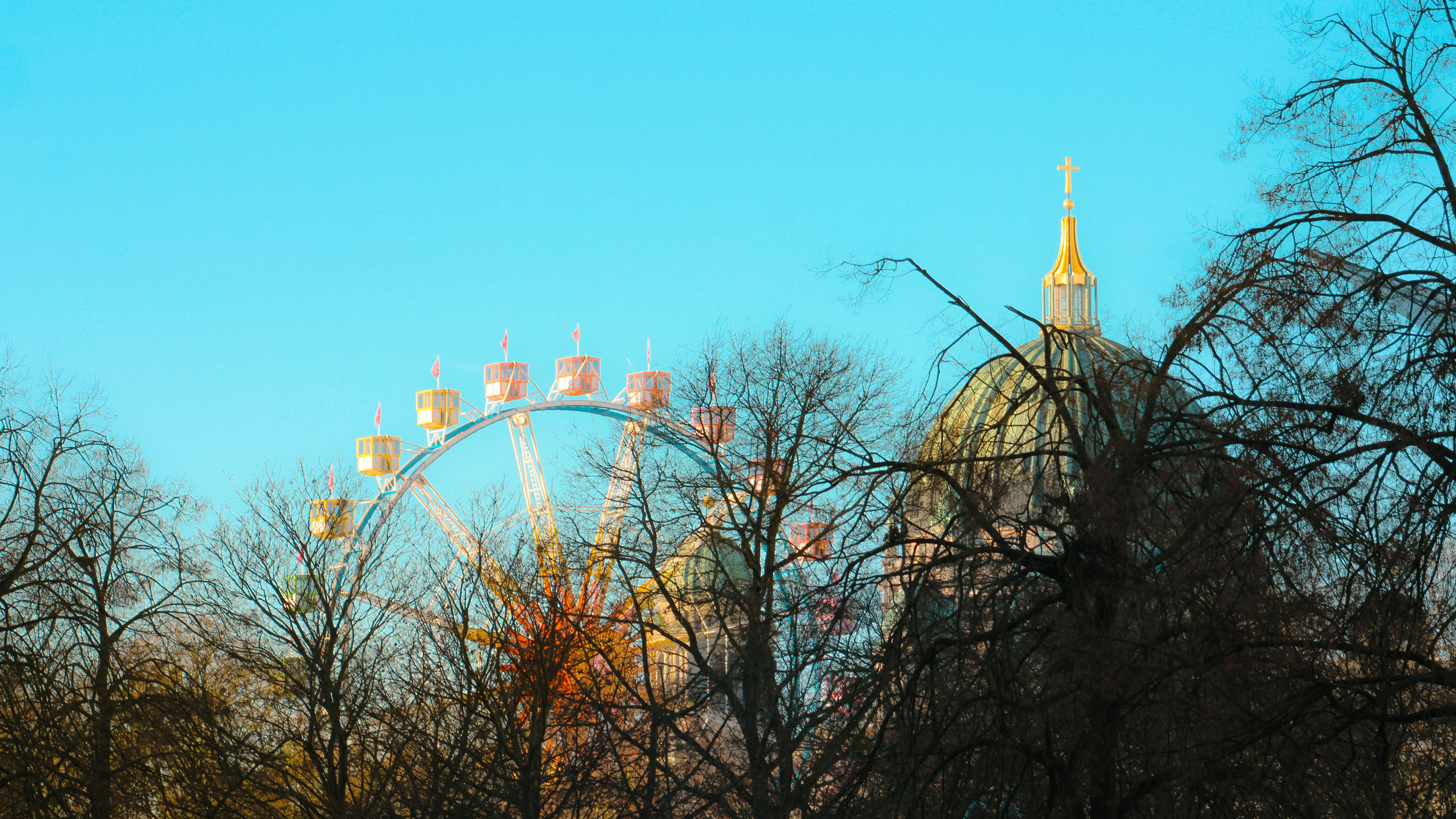 City Skyline Through Bare Branches: Ferris Wheel and Dome in Dappled Light