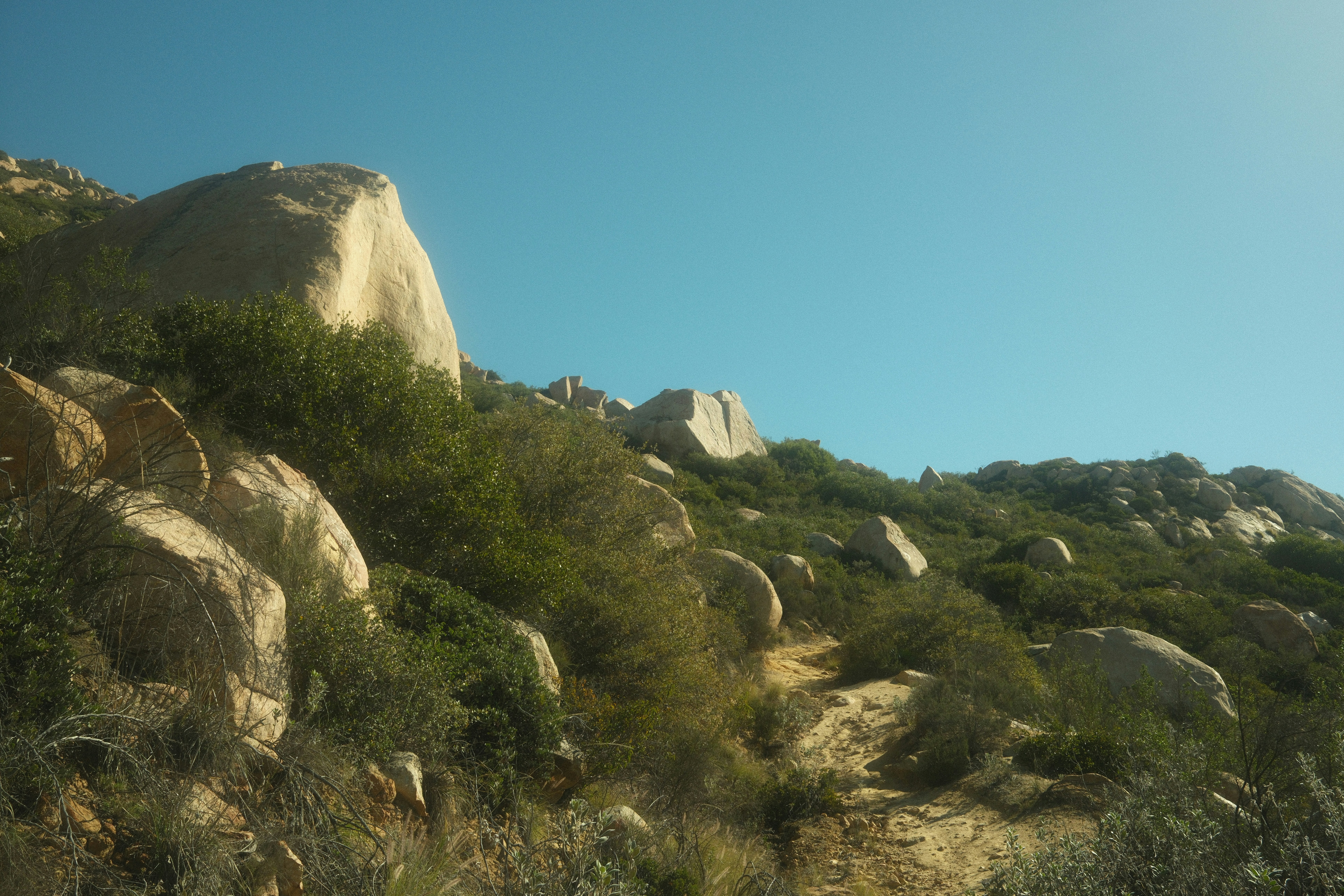 Rugged hillside under a clear blue sky