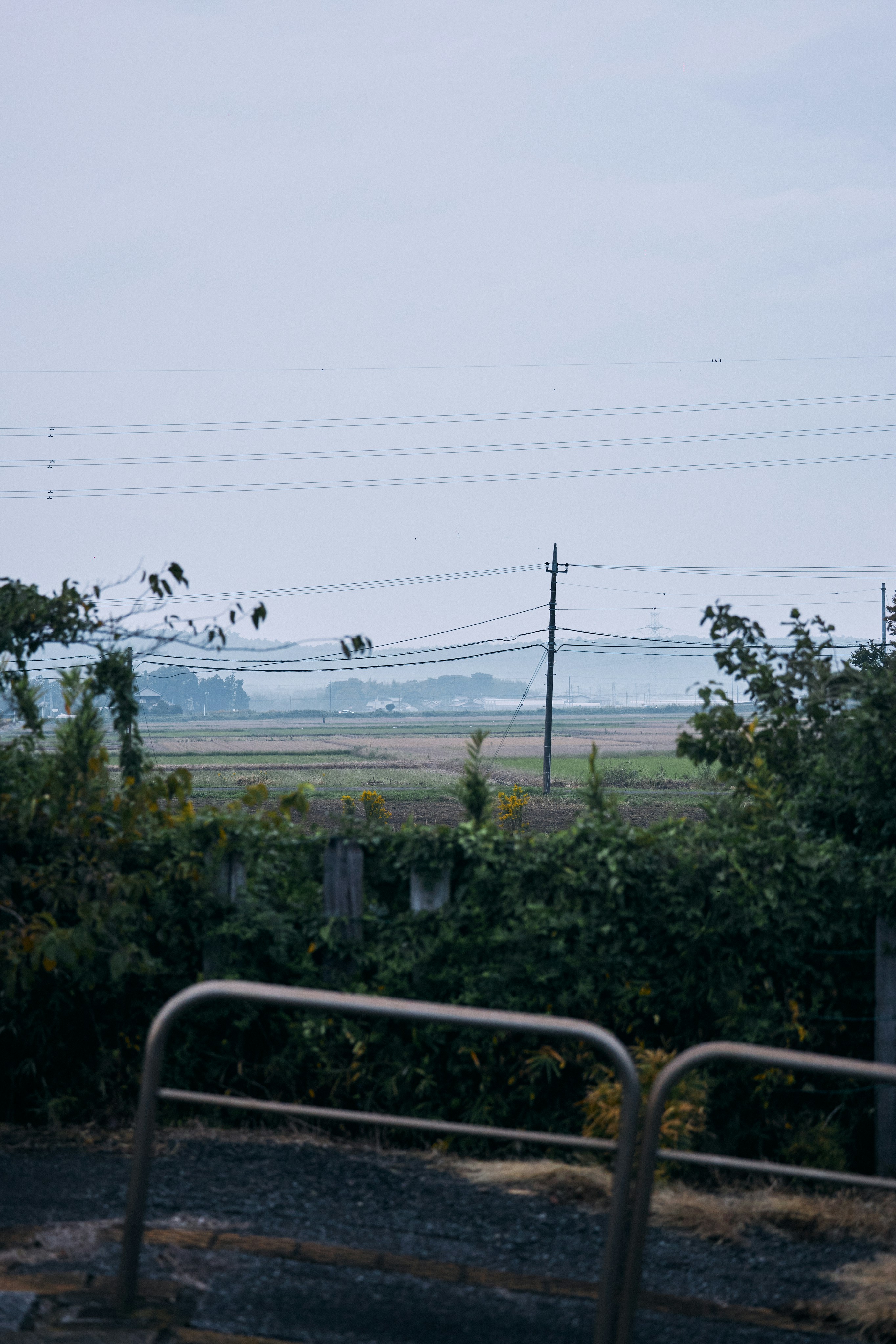 Transmission Lines Over Quiet Farmland
