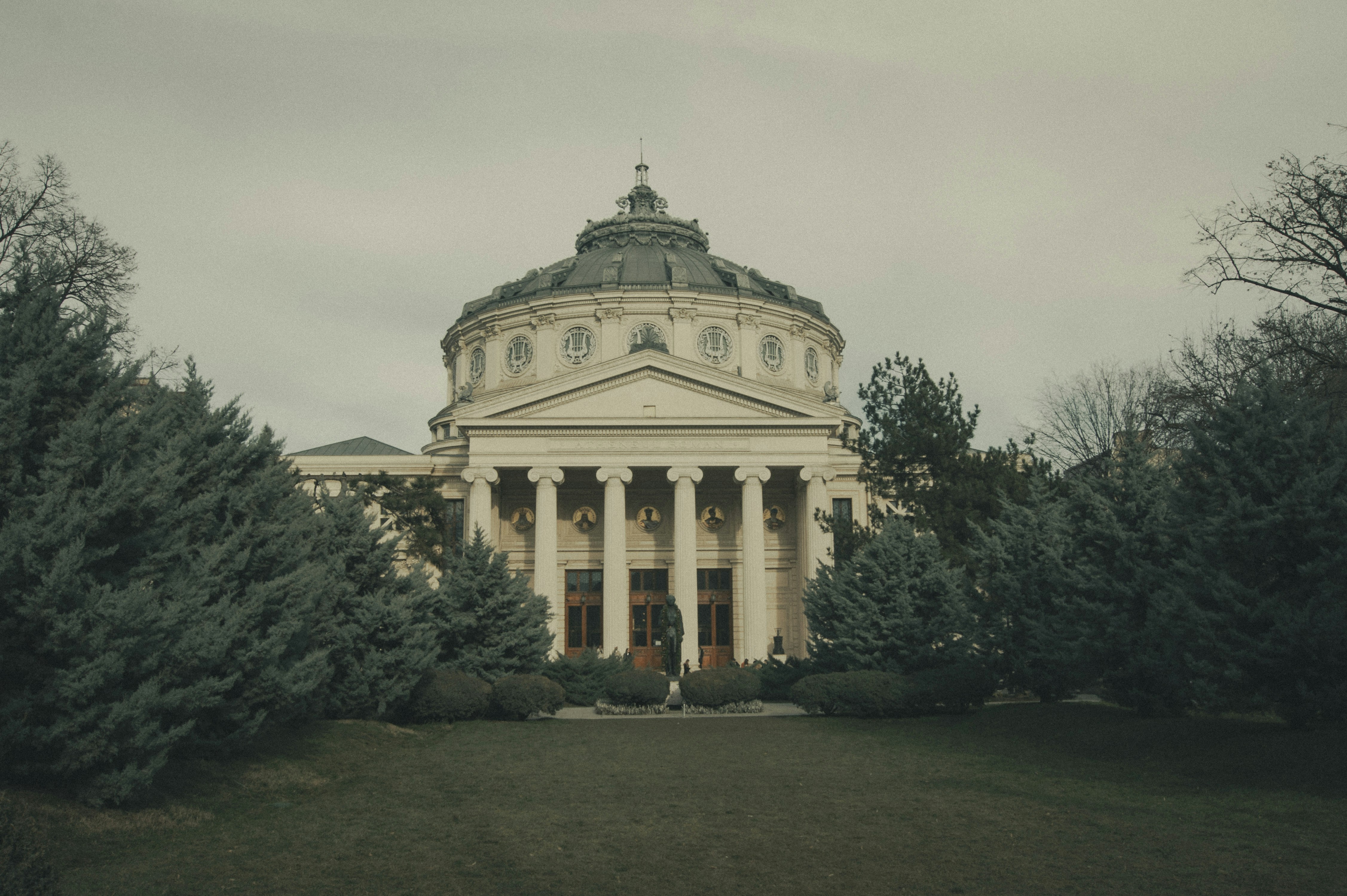 Temple in the Park: Classical Rotunda Framed by Pines
