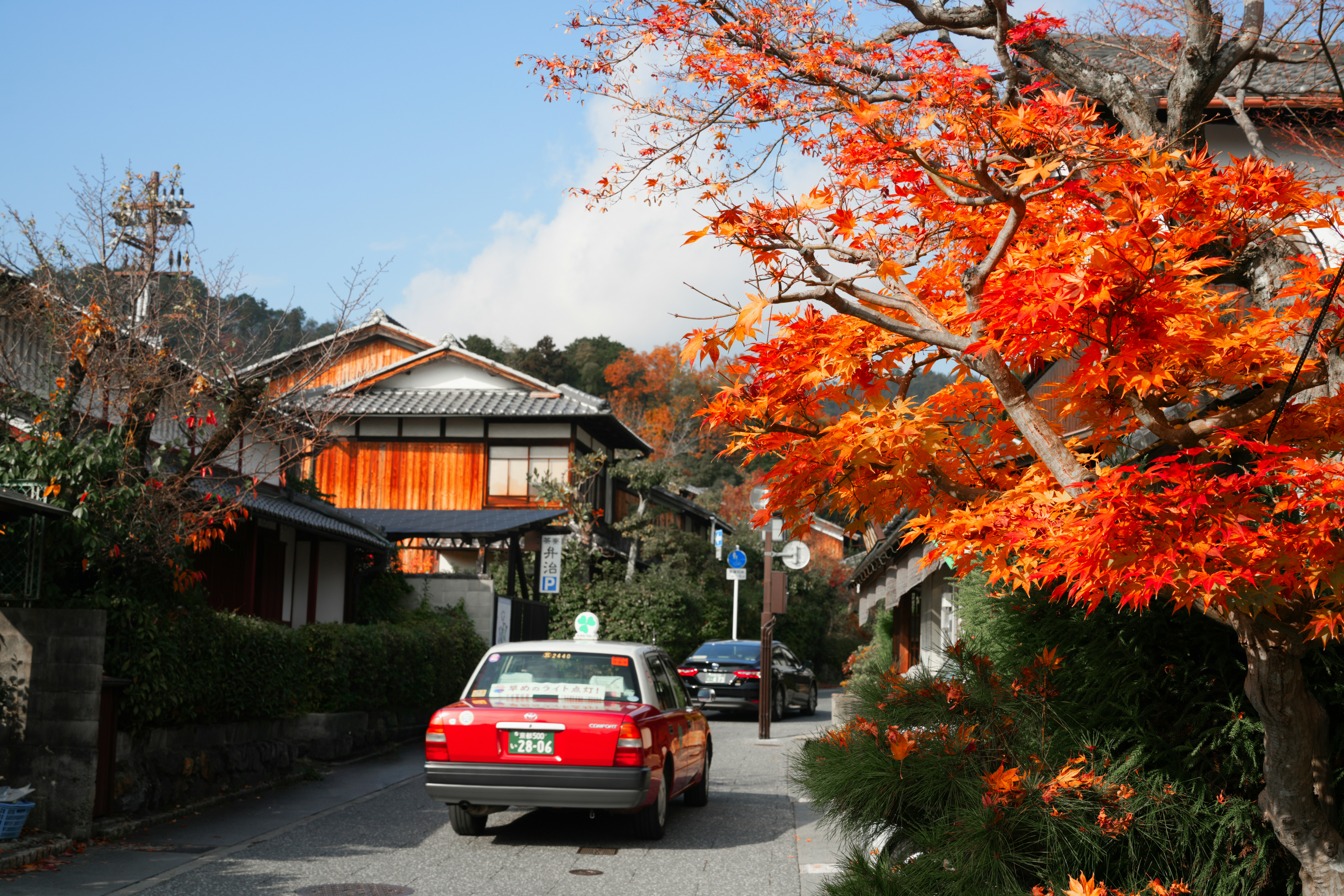 Autumn Street in Blossoming Kyoto-inspired Lane with Red Taxi