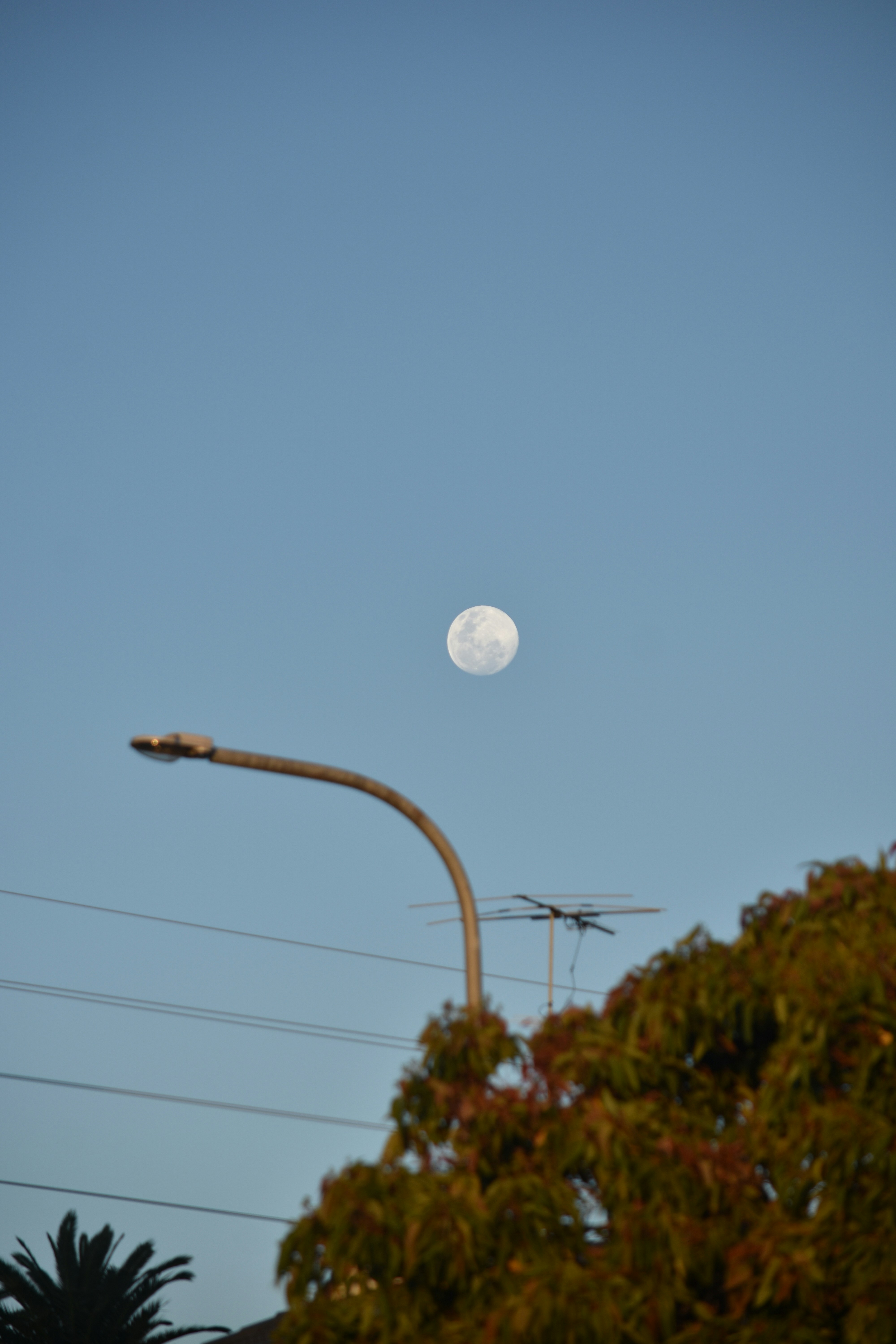 Moon Over Urban Arc: A Quiet Night in the Suburbs