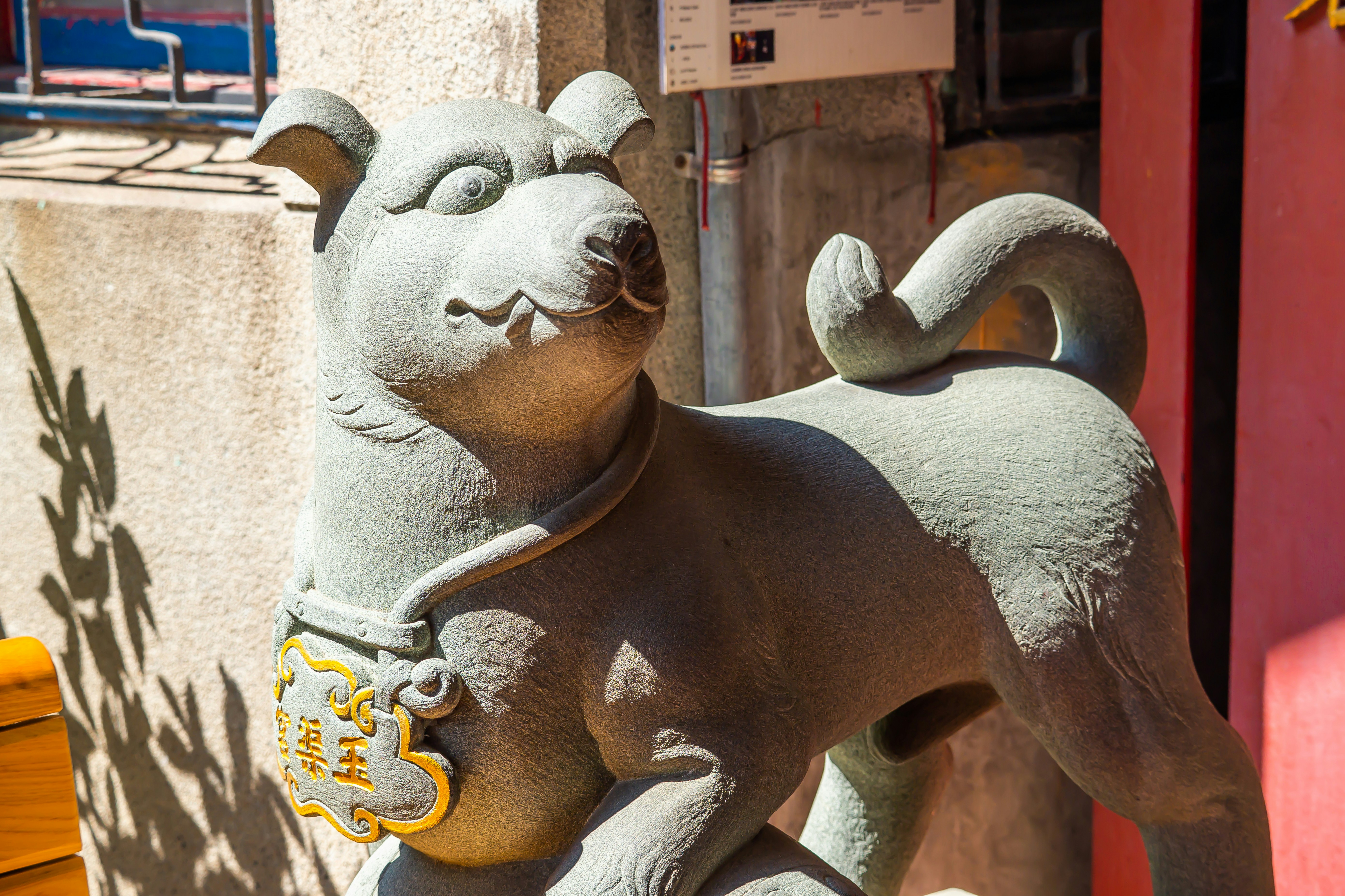 Guard Dog of the Steps: Stone Statue in Sunlit Passage