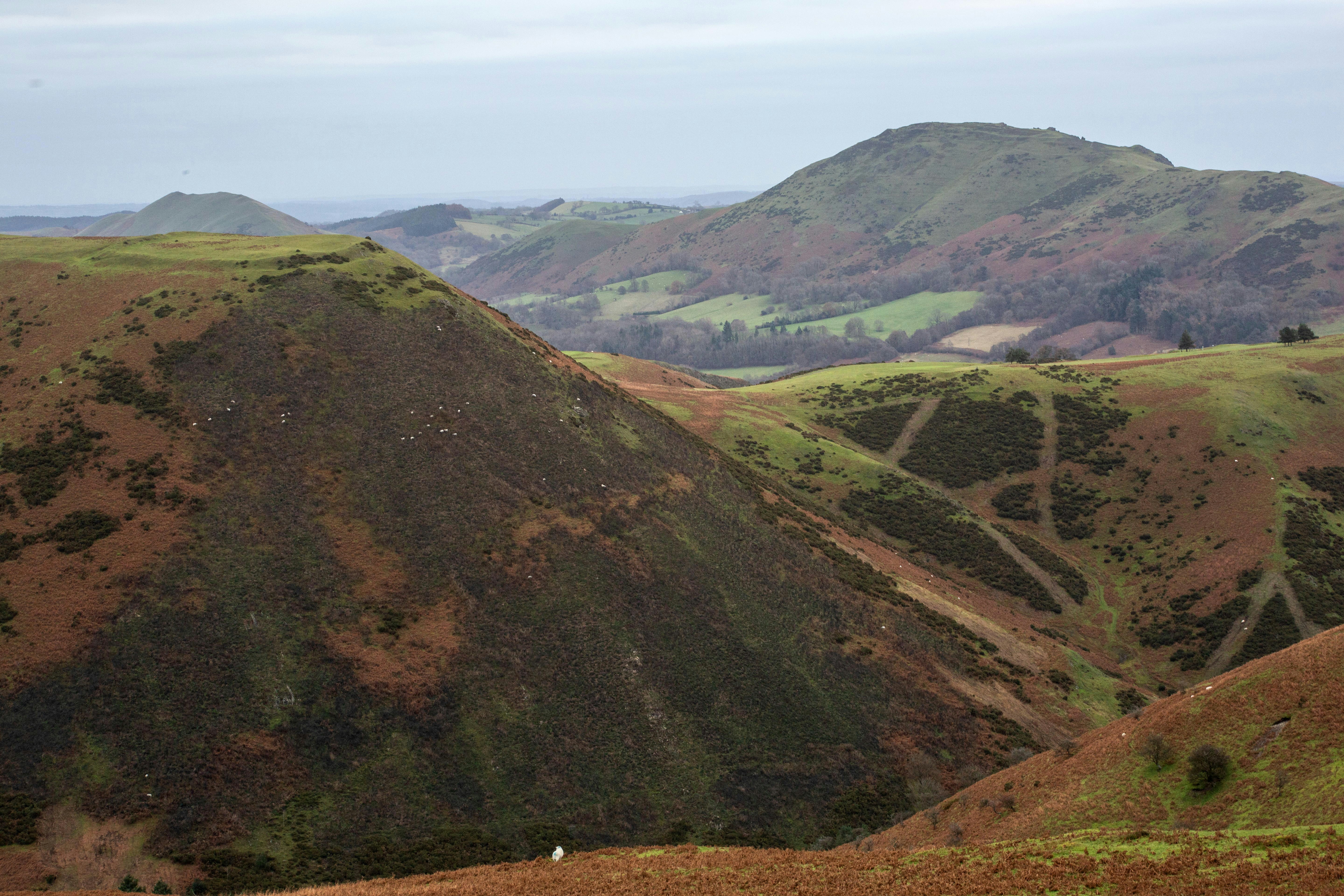 Rolling Moorland Above a Winding Ridge Under a Quiet Sky
