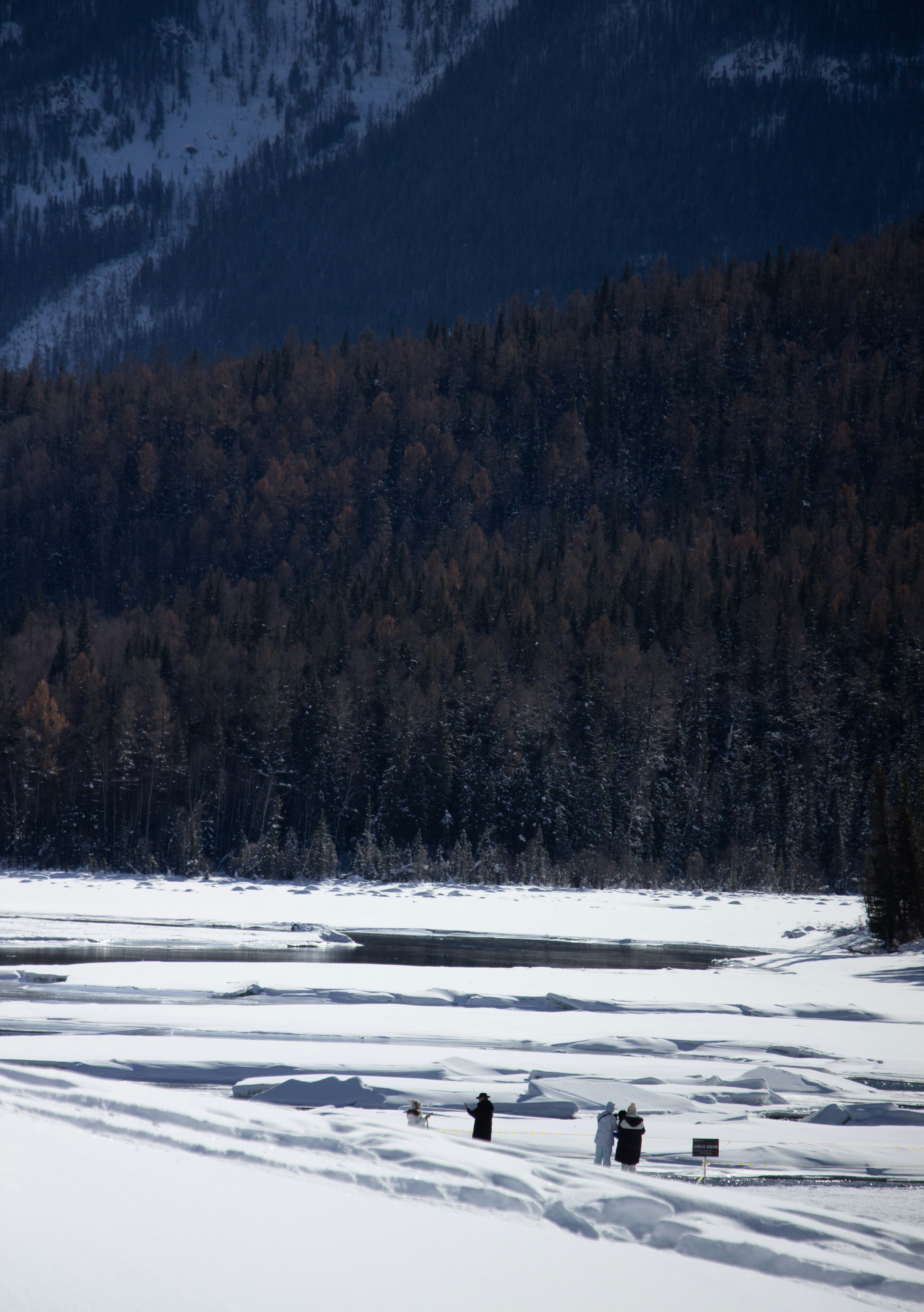 Snowbound Silence: Figures on the Frozen Edge