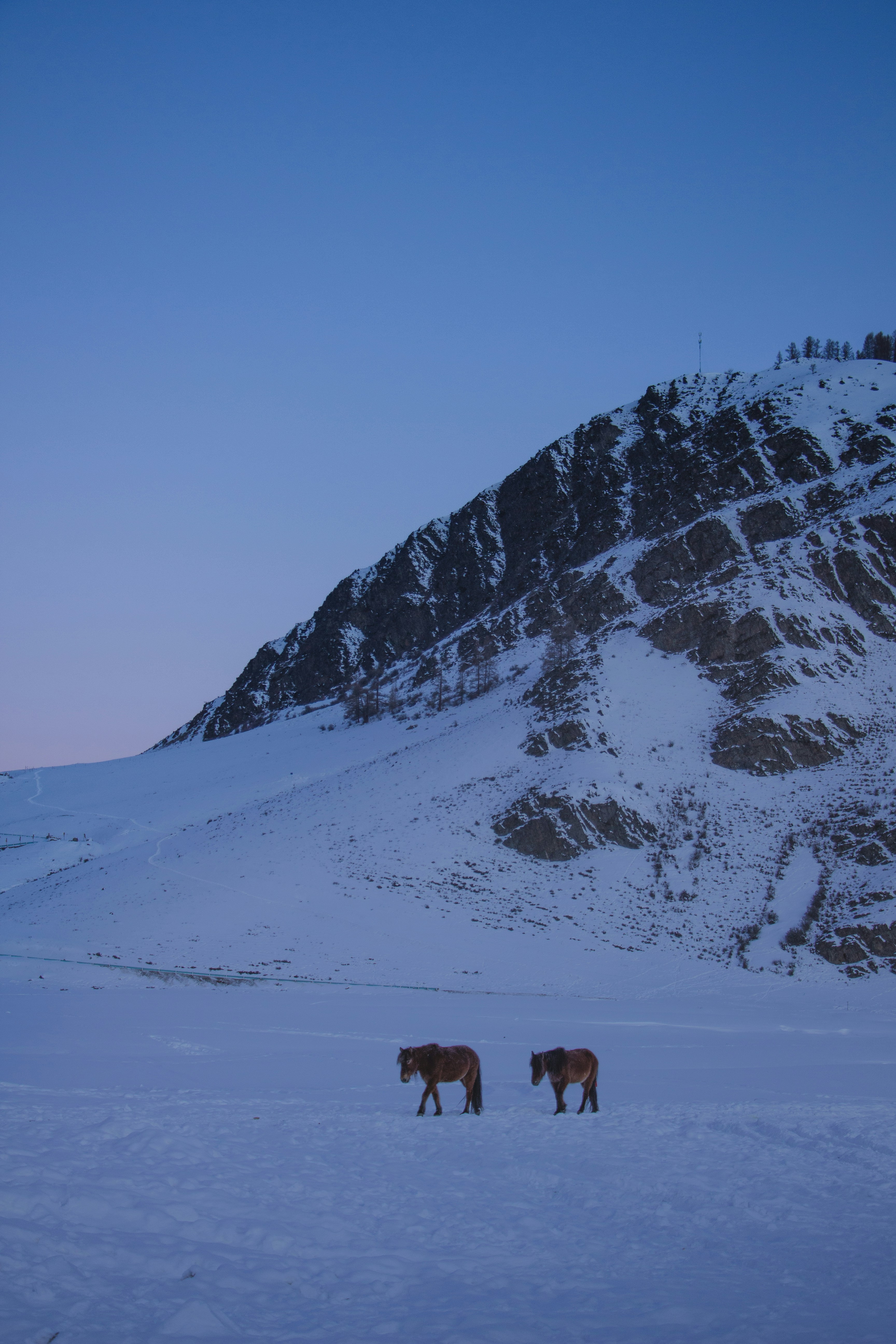 Hushed Tundra: Two Silhouettes Beneath a Rugged, Snow-Capped Peak