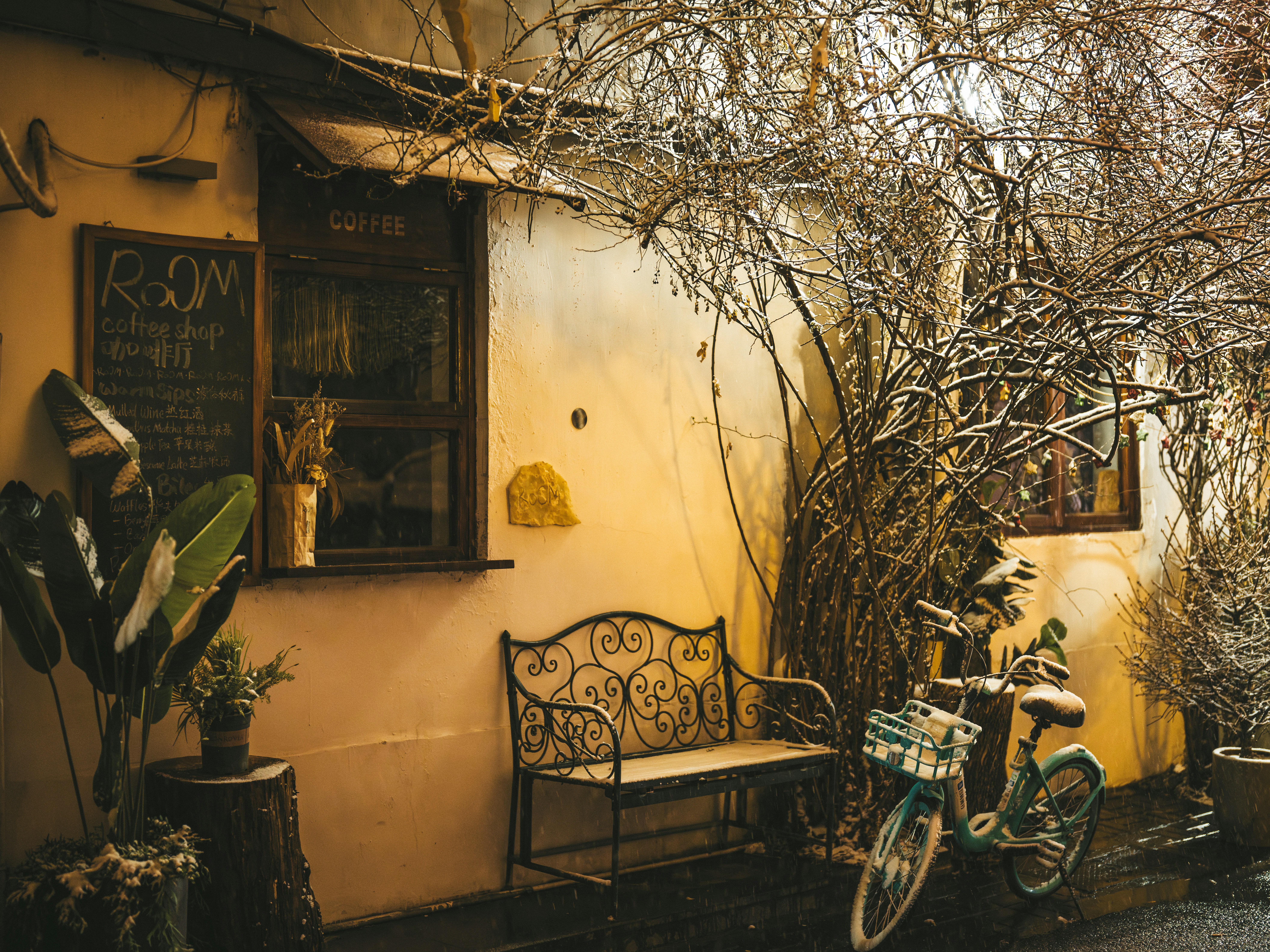 Sunlit Café Nook: Warm Bench, Framed by Vintage Ivy