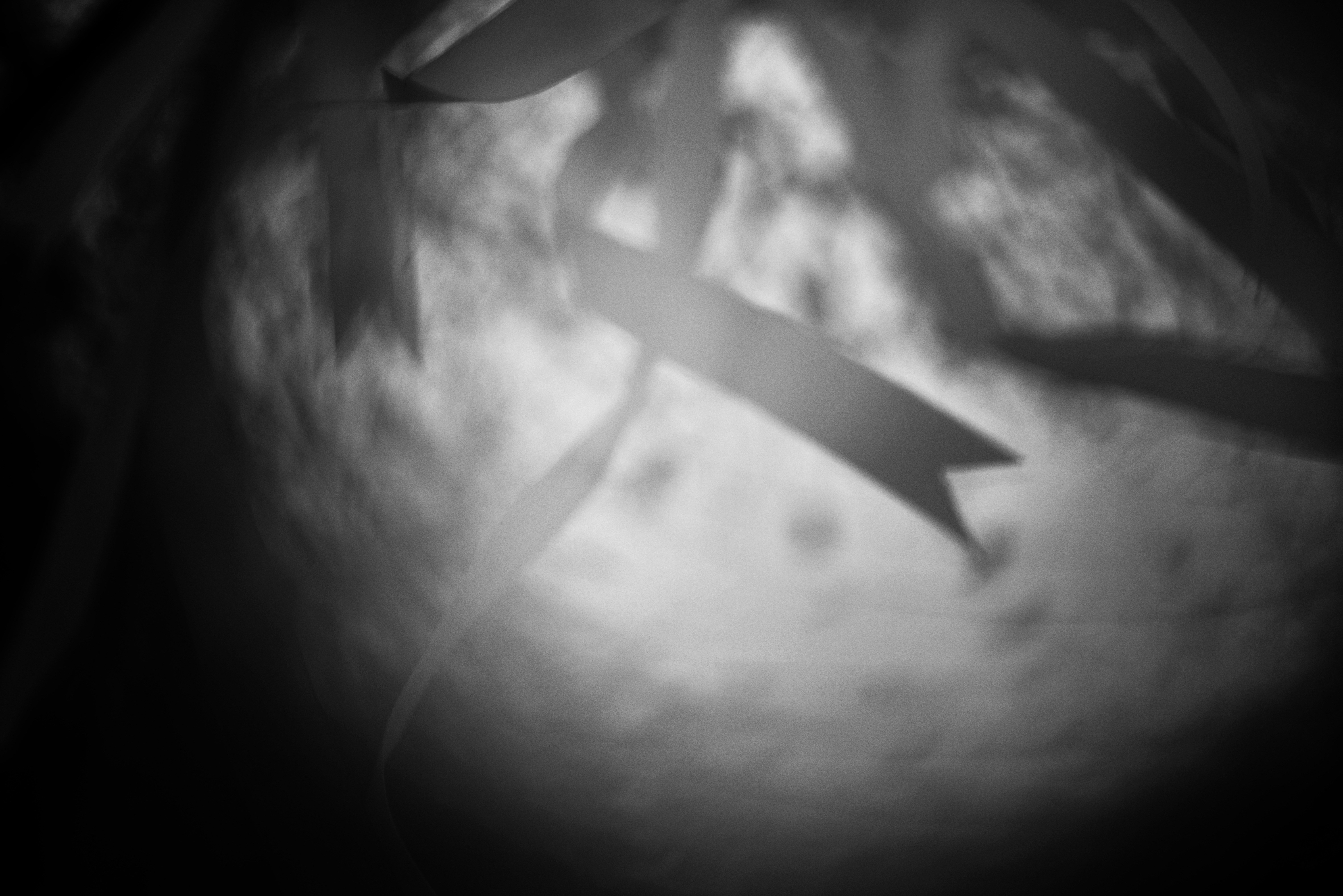 Shadowed Ribbon: Blur and Light Through Leaves