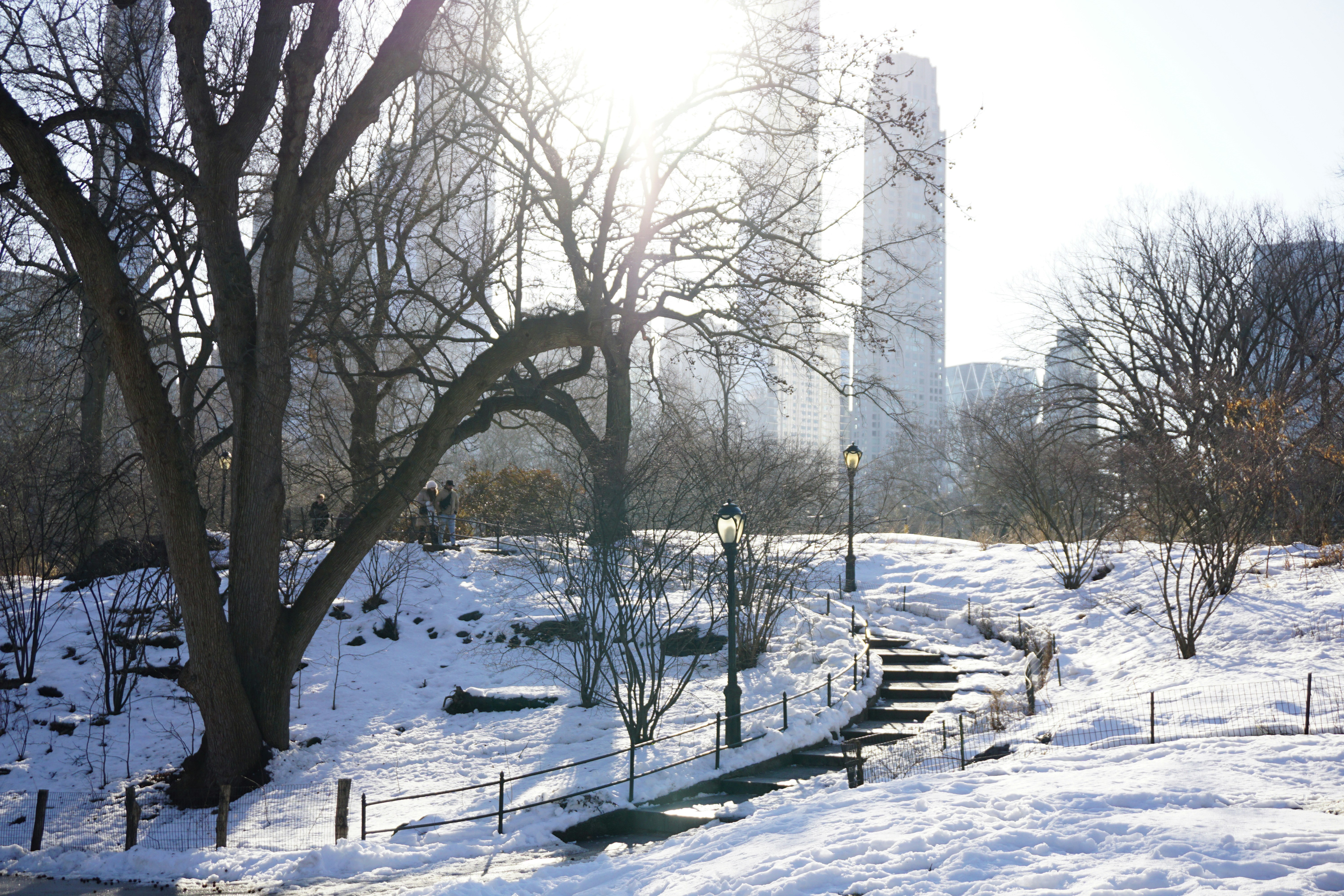 Winter Stairway Through Snowlit Park Toward Skyline