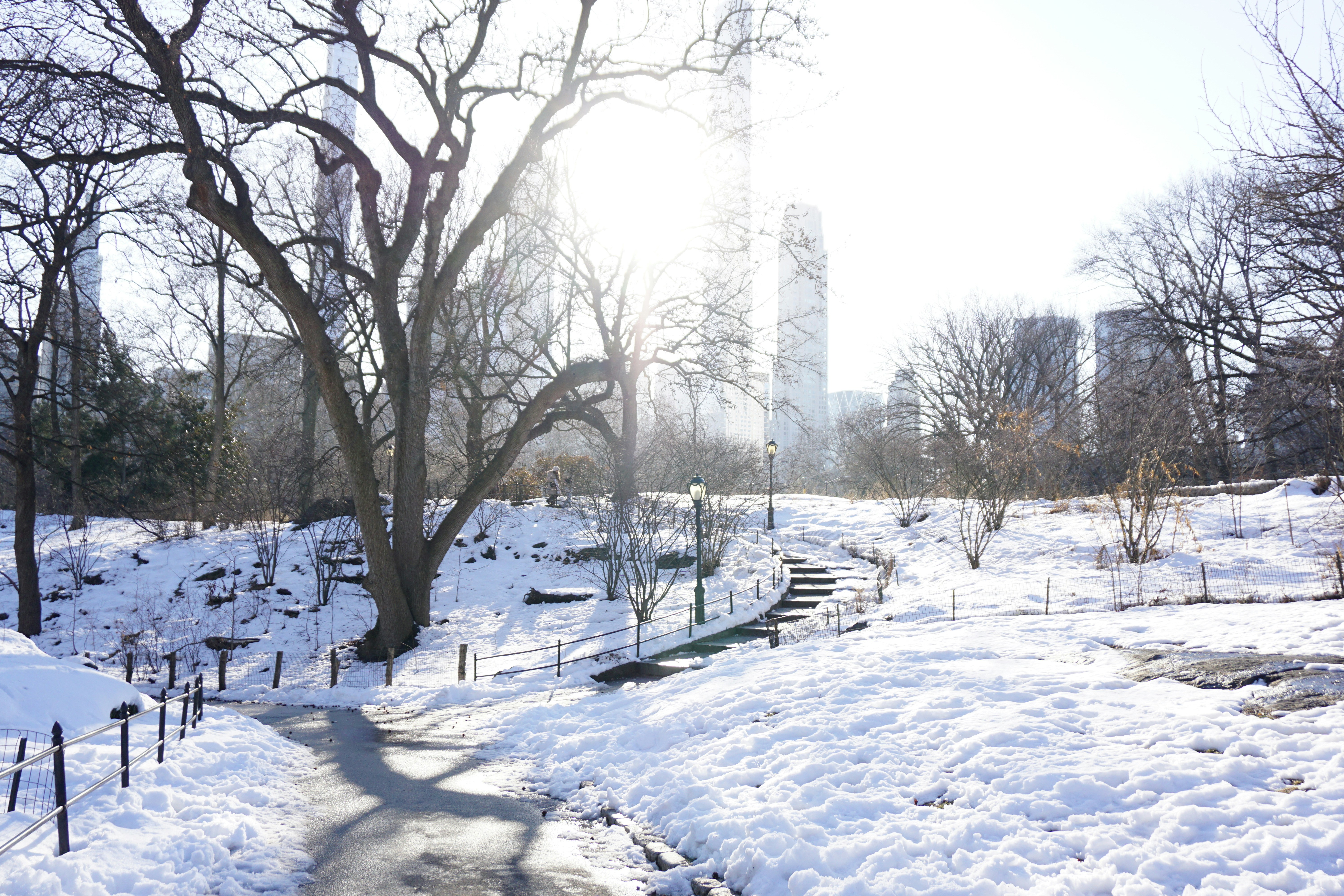 Sunlit Snowy Path Through a City Park with Distant Skyscrapers