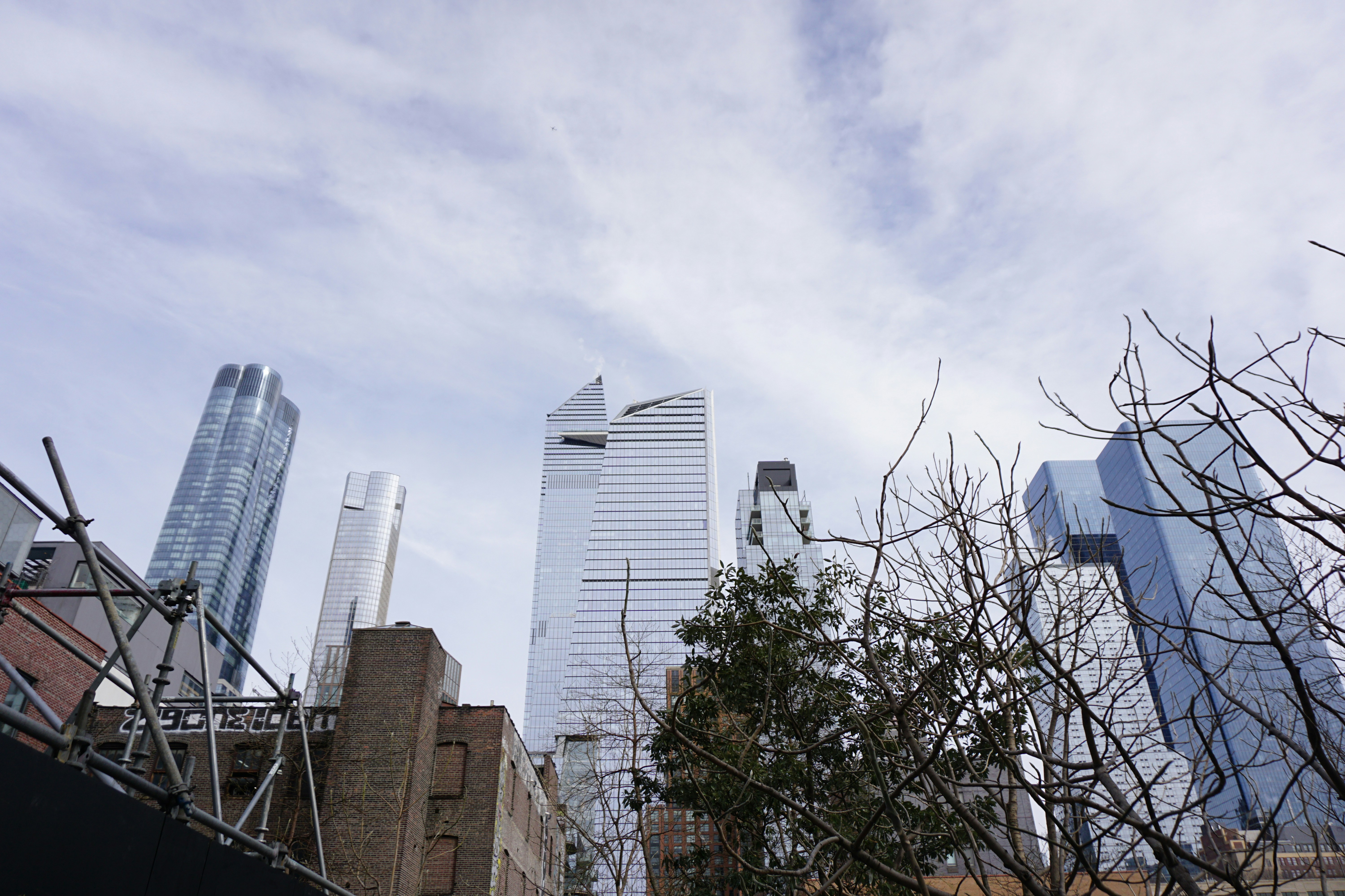 Urban Skyline Breaks Through Leafless Canopy