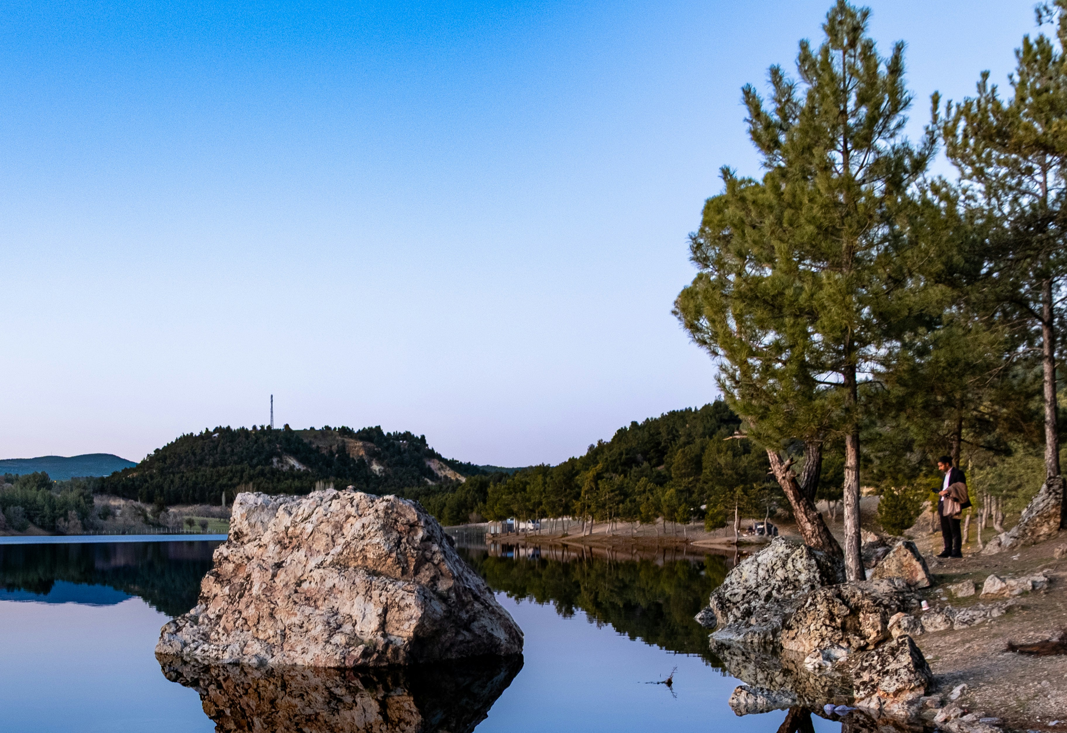 Quiet Tide at the Tidal Rock: A Lakeside Scene framed by Pines