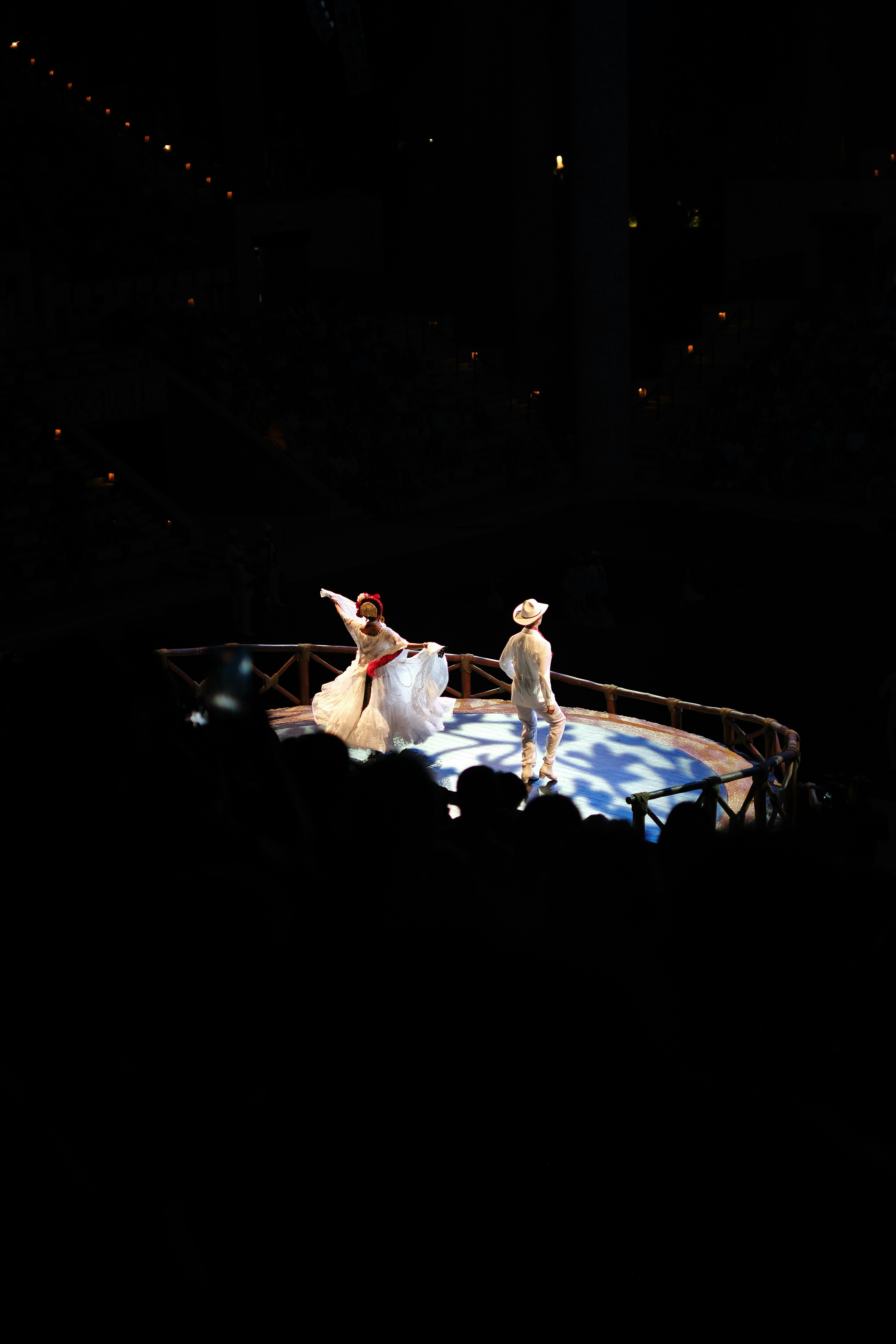 Moonlit Pas de Deux: A Spotlight on the Dancers on a Circular Stage