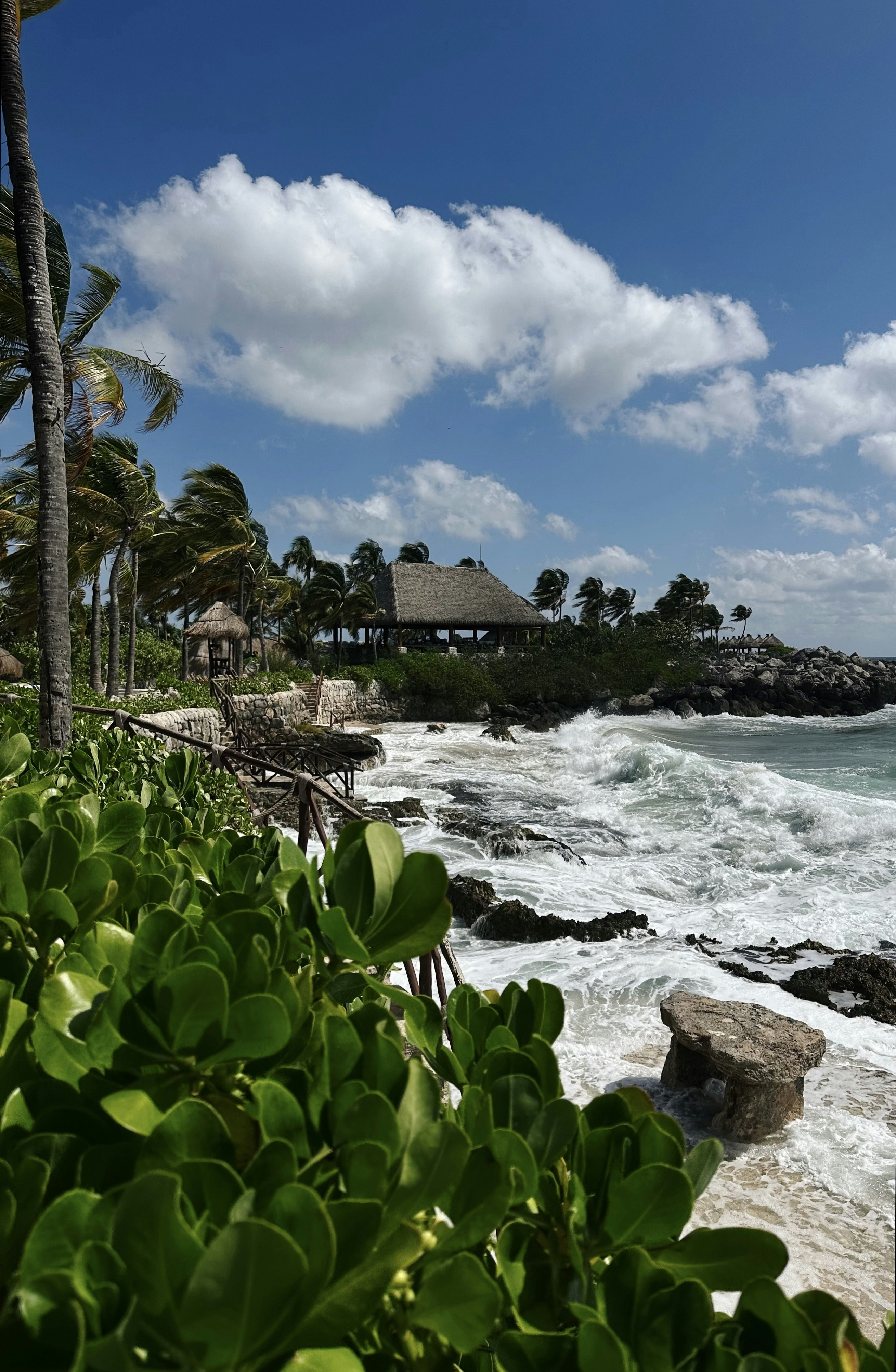 Palm-fringed shoreline with thatched cabanas facing crashing surf