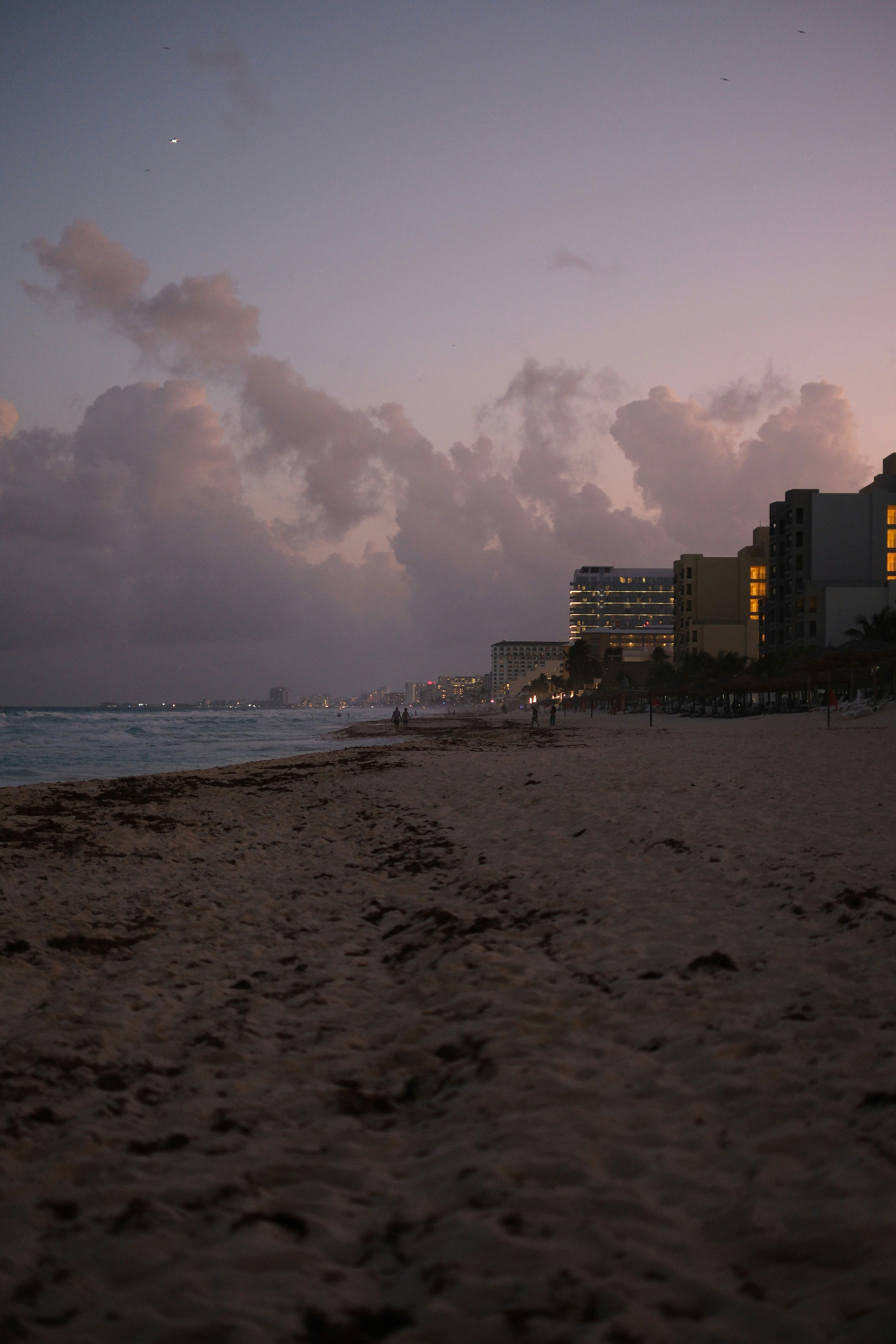 Dusk on the Palm Coast: Lights Along the Sandy Fringe