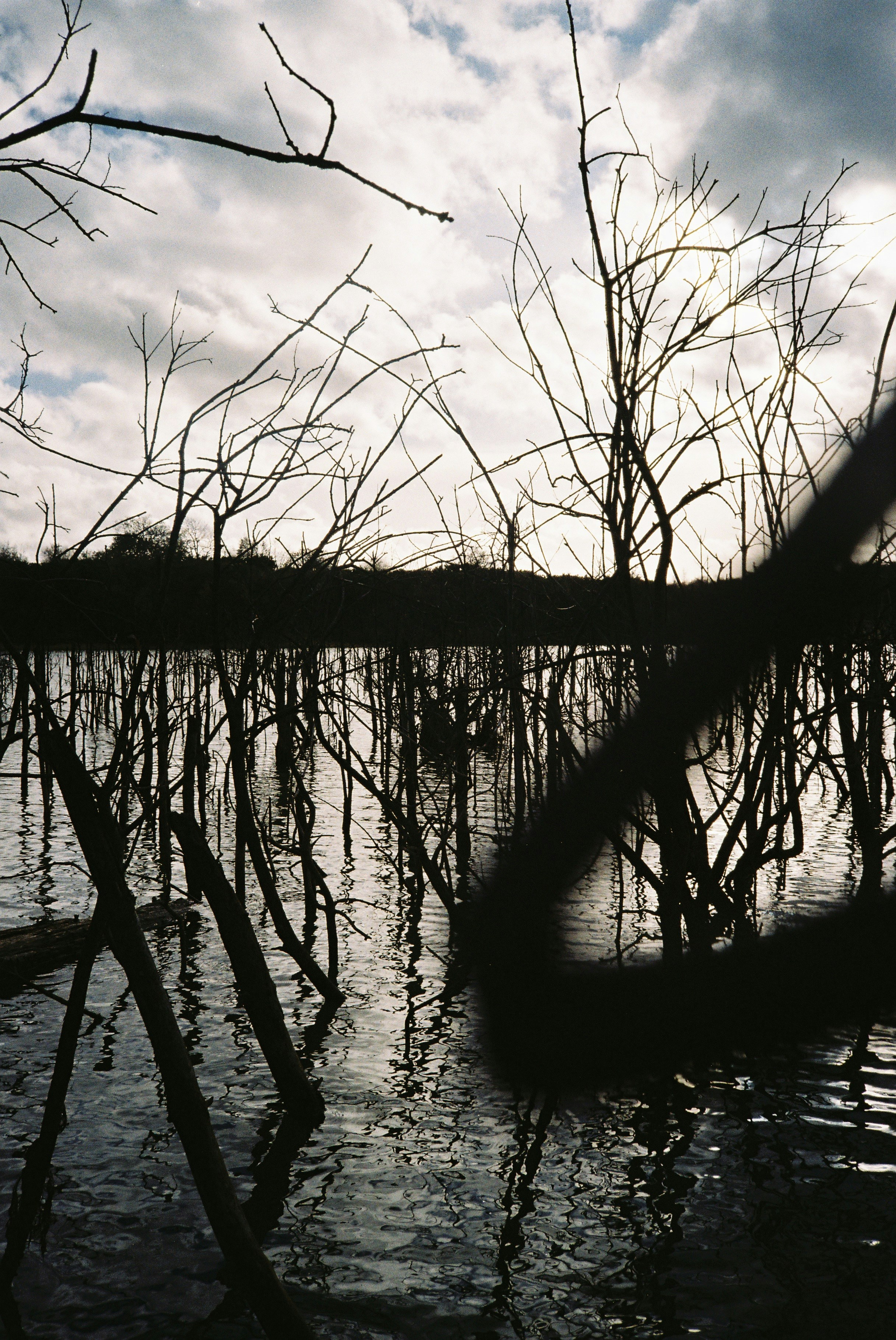 Caesar’s Camera Strap