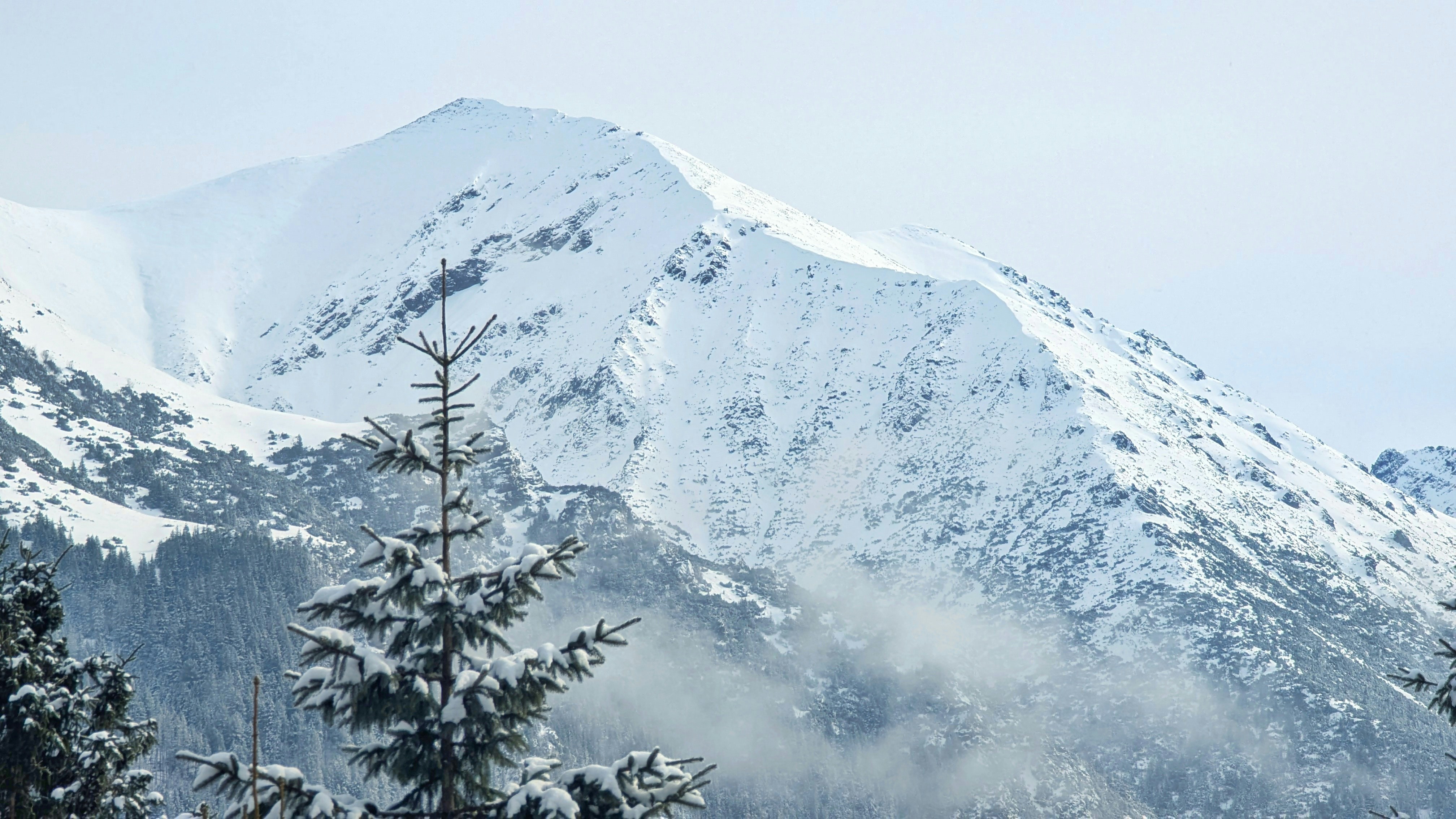 Snowbound Summit Under Quiet Dawn