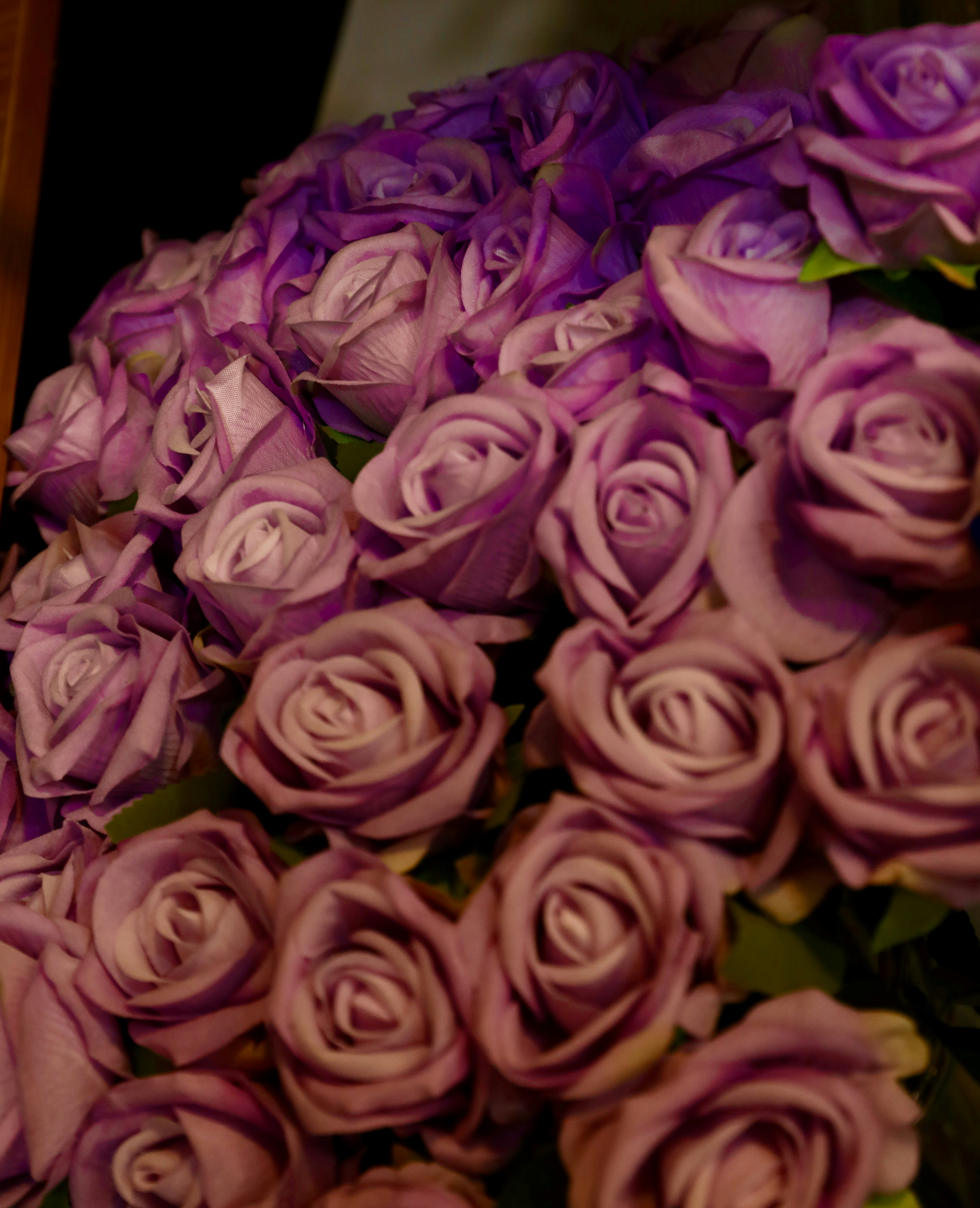 Crimson Velvet Blooms: A Moonlit Bouquet of Pink-Purple Roses