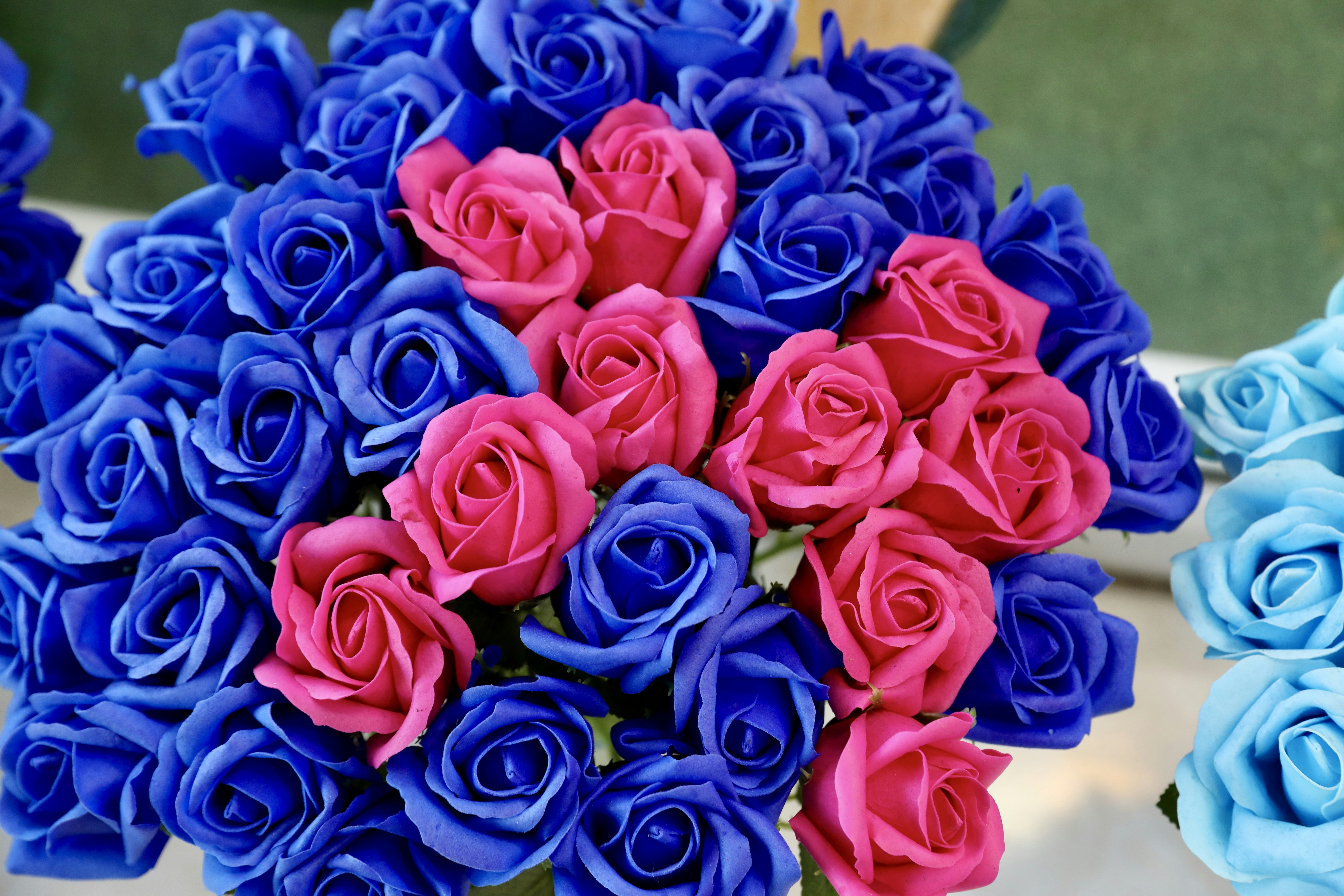 Concentric Bloom: Neon Rose Parade