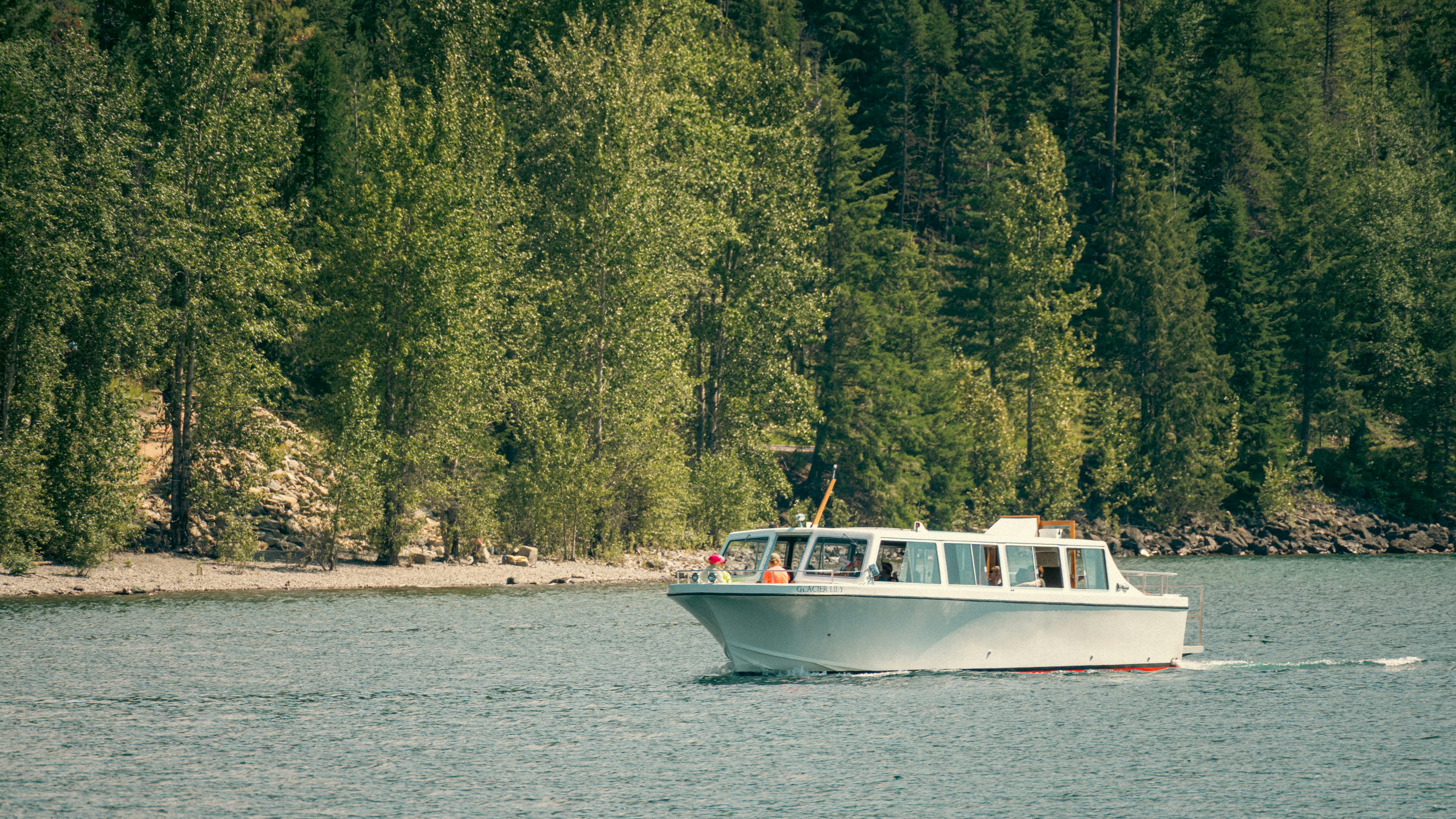 Coastal Passage: A Stately Boat Breezes Past a Conifer Cove