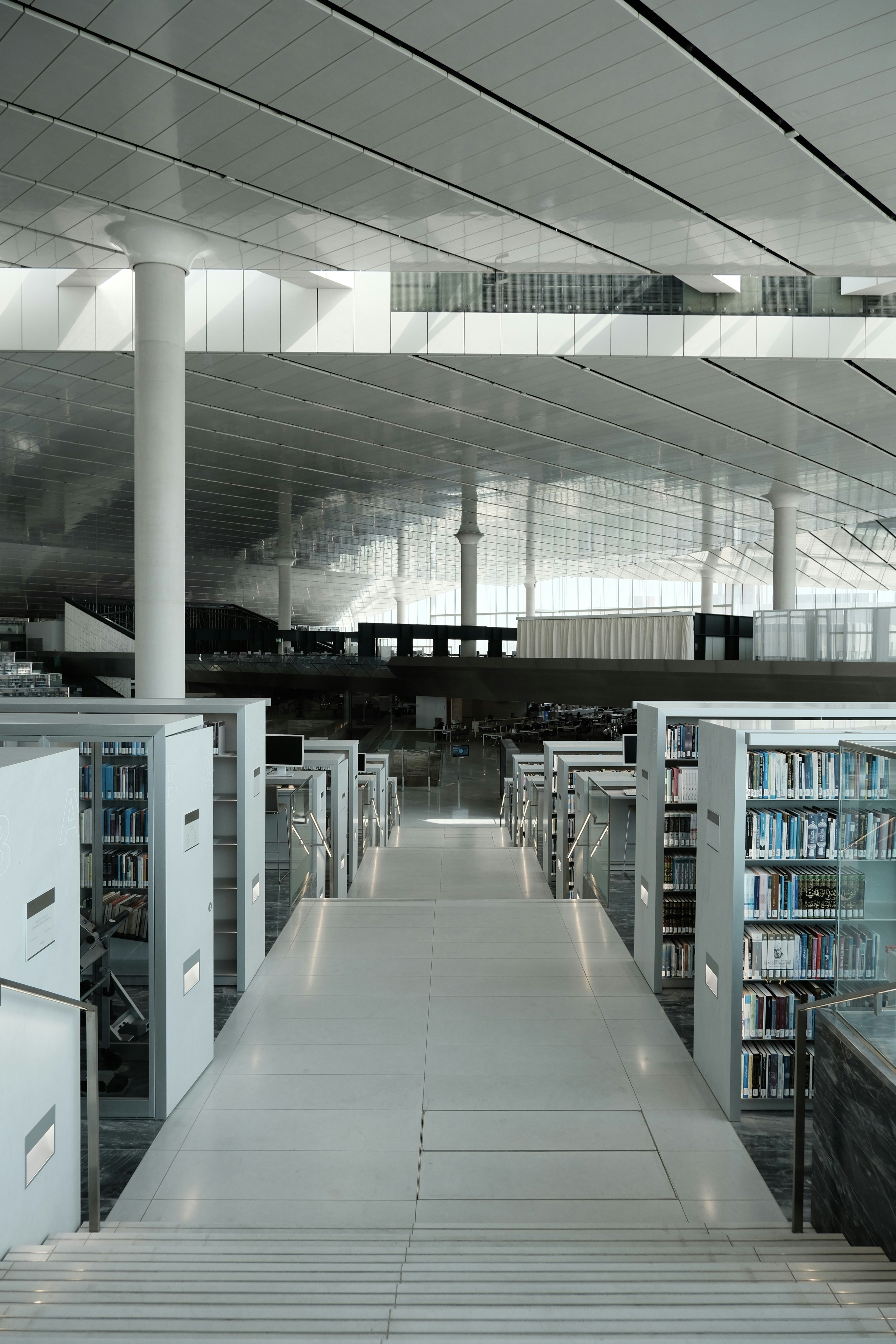 Aisles of Quiet Focus in a Modern Library Hall