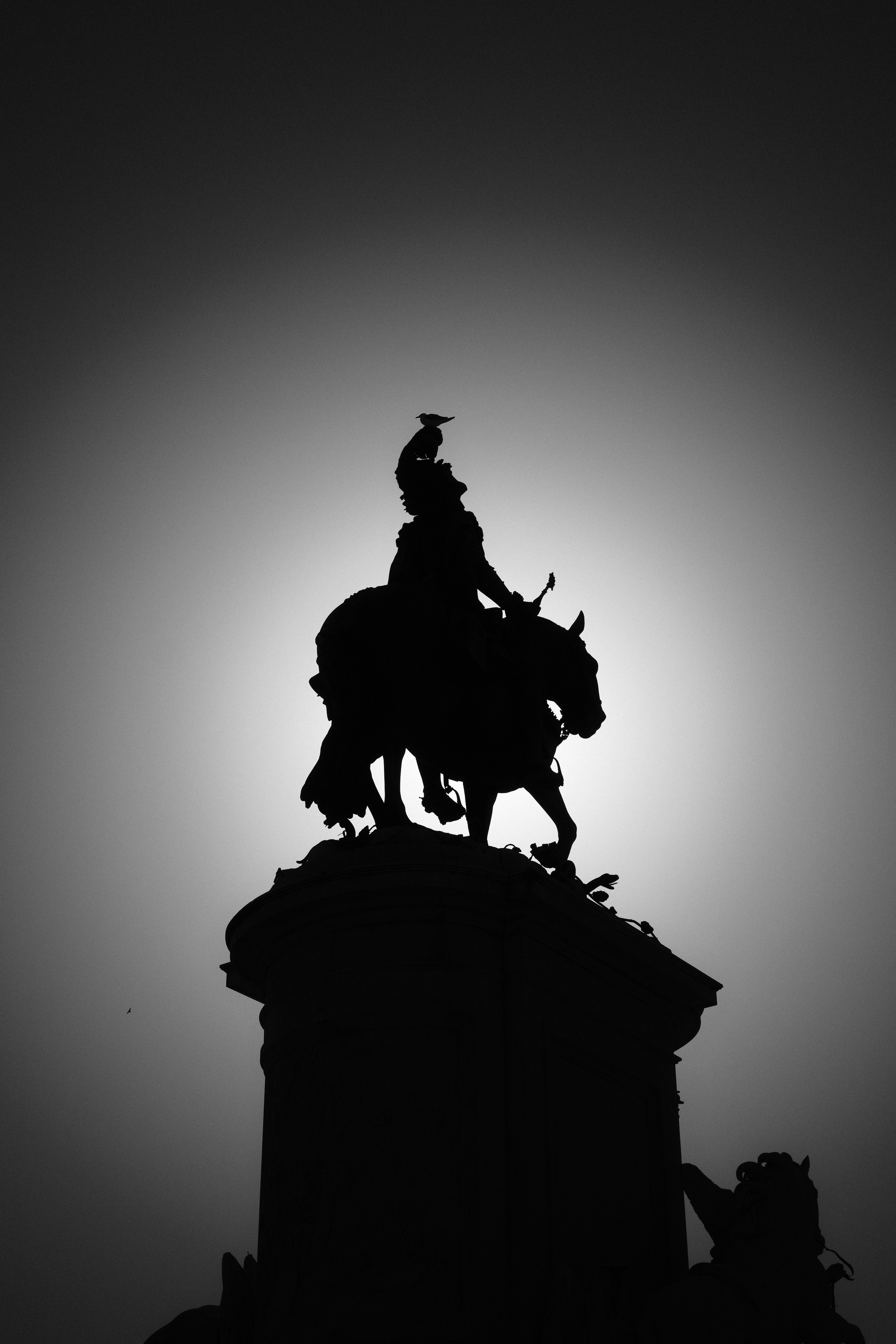 Silhouette of a Rider on Horseback Crowned by Bird in a Haloed Backlight