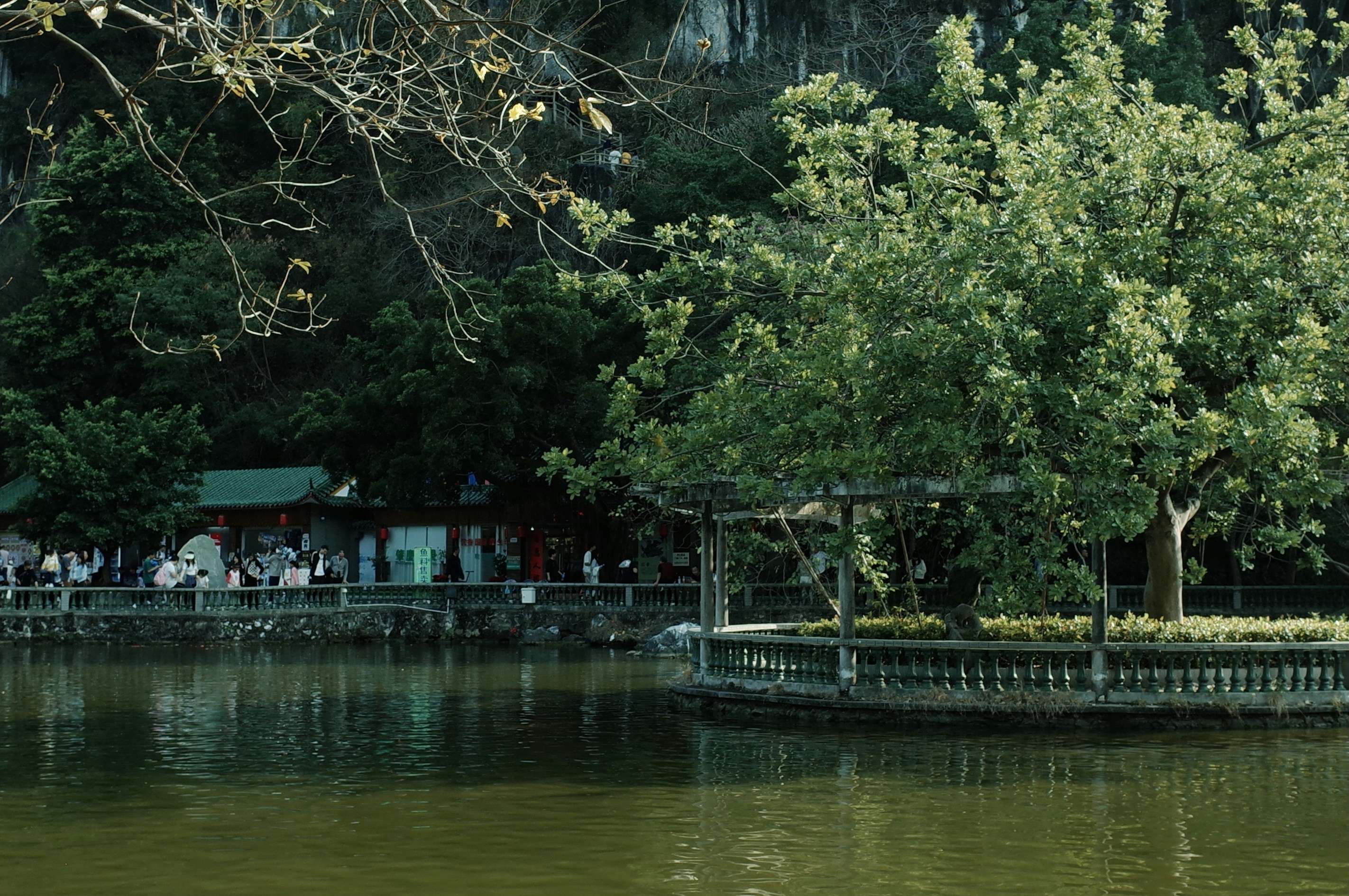 Whispering Lake at the Lantern Walk