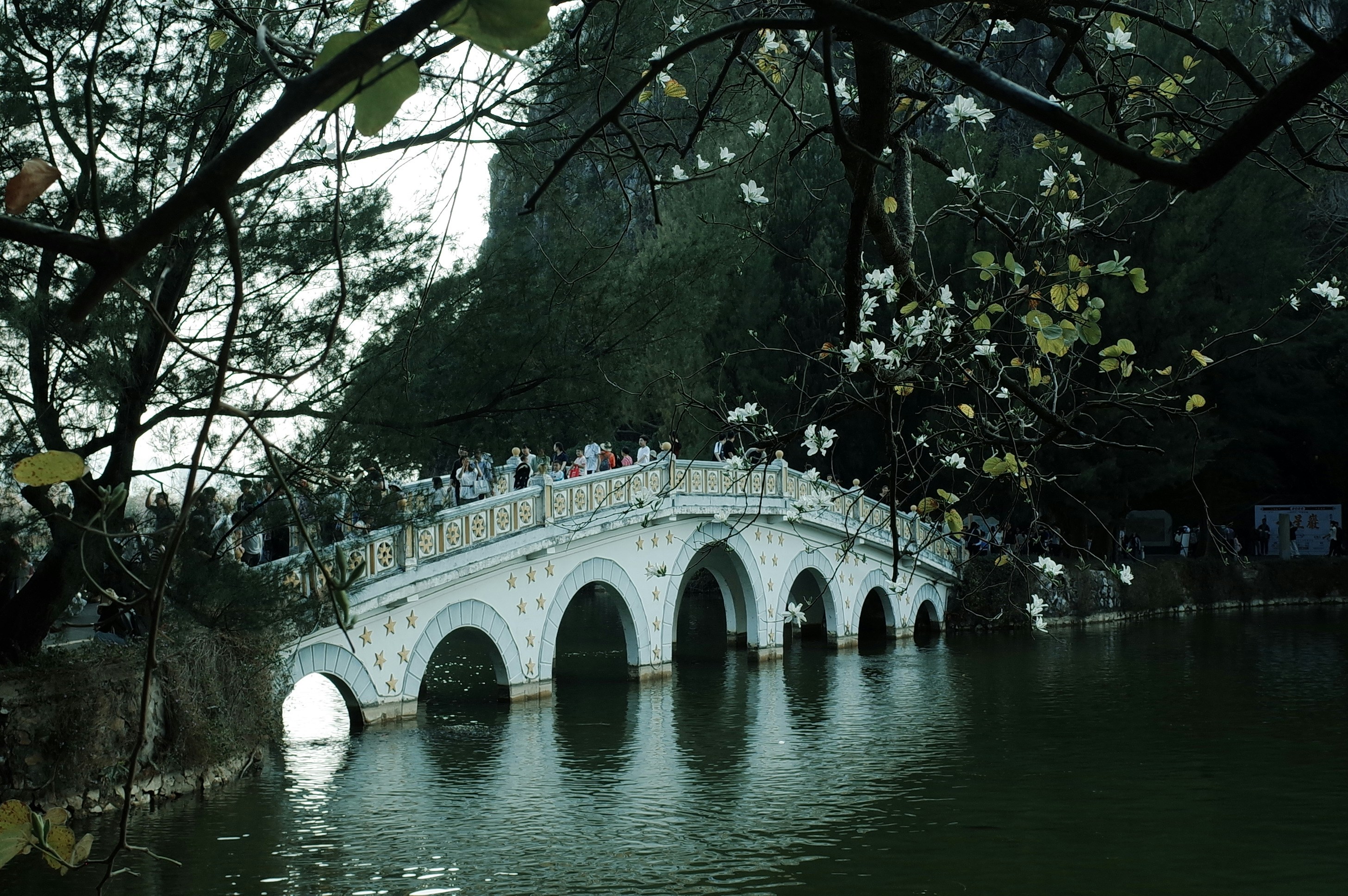 Arched Bridge in a Quiet Park Framed by Blossoming Branches