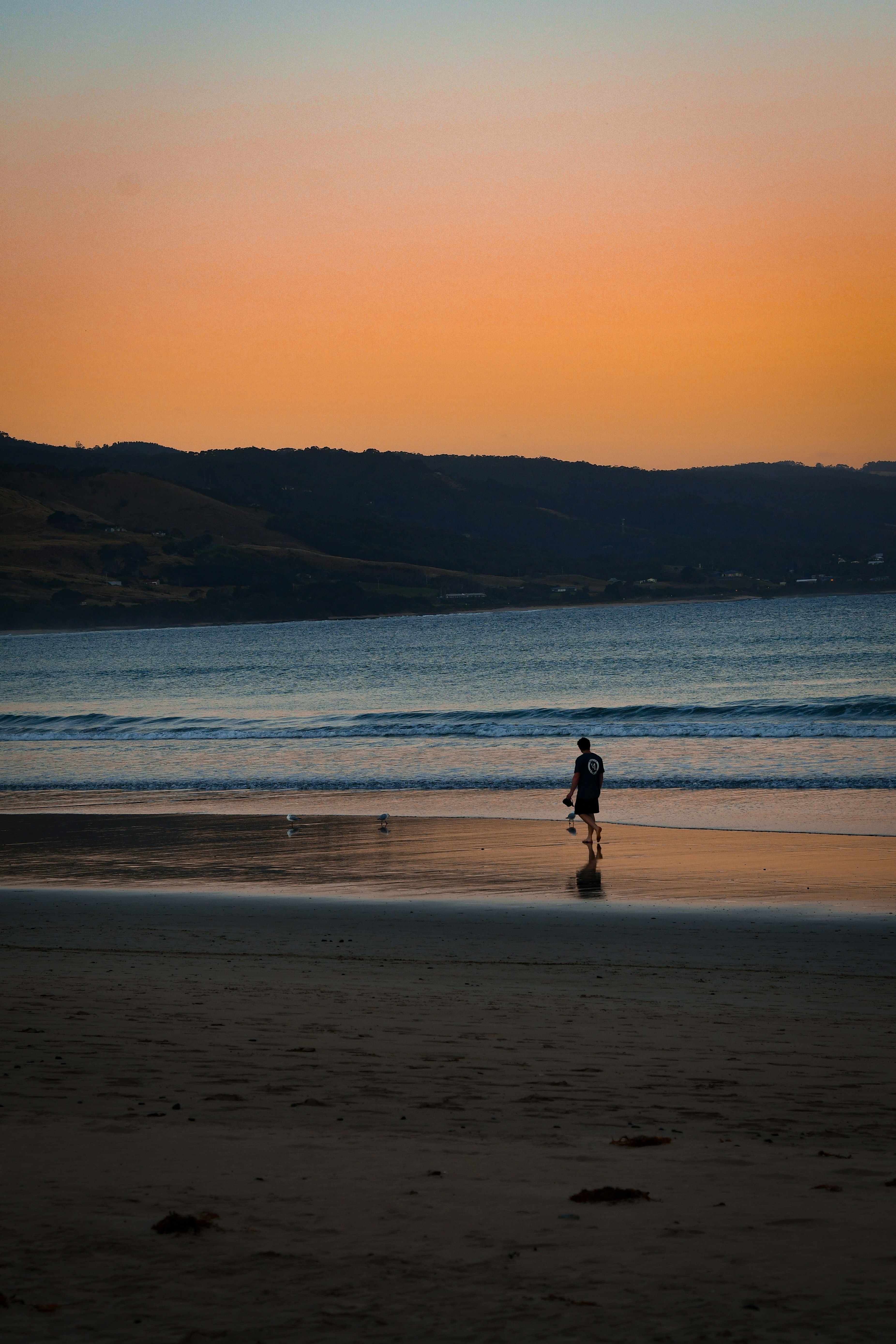 Solitary Runner on a Dusked Shore