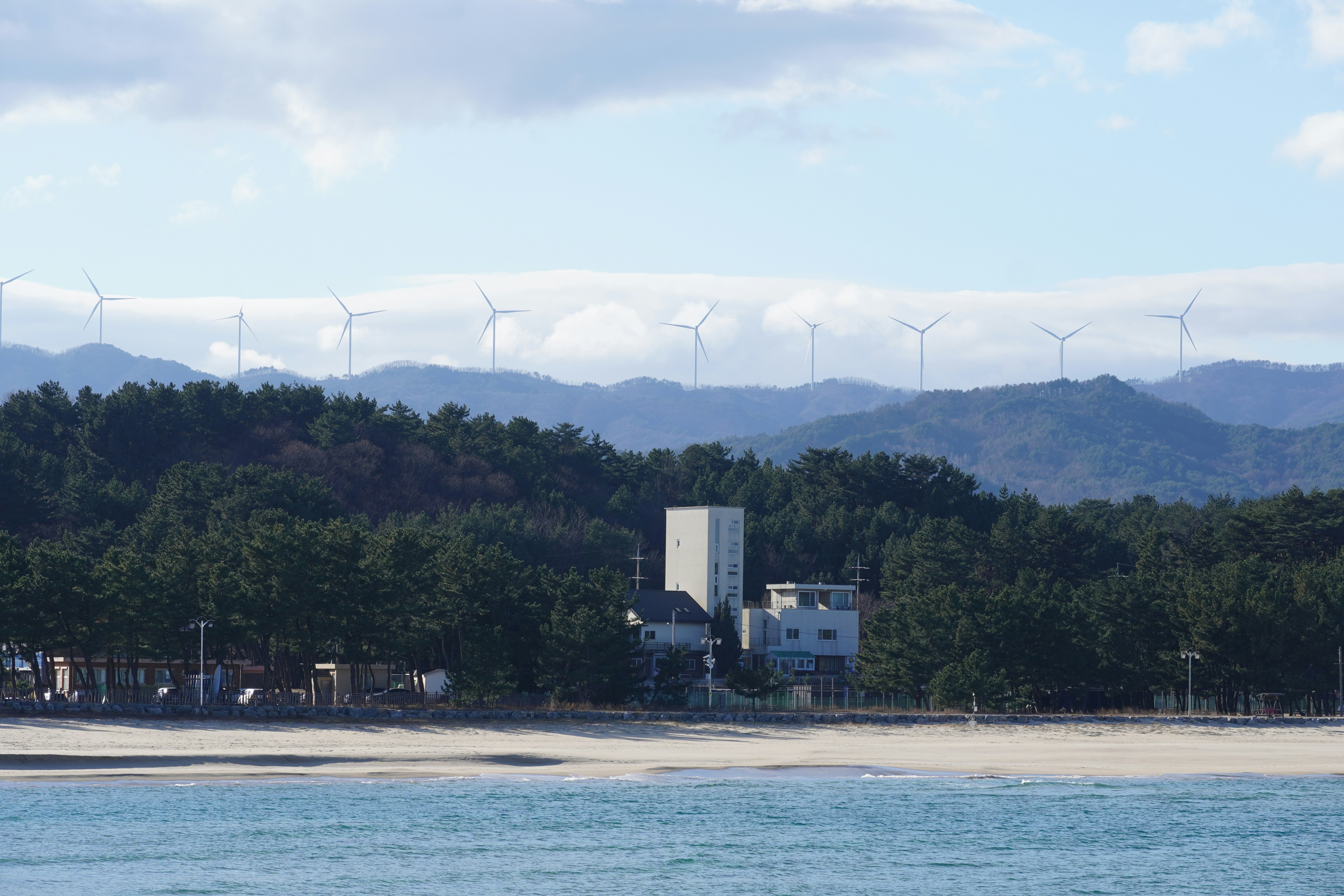 Wind-swept shoreline with distant wind turbines beyond a quiet coastal town