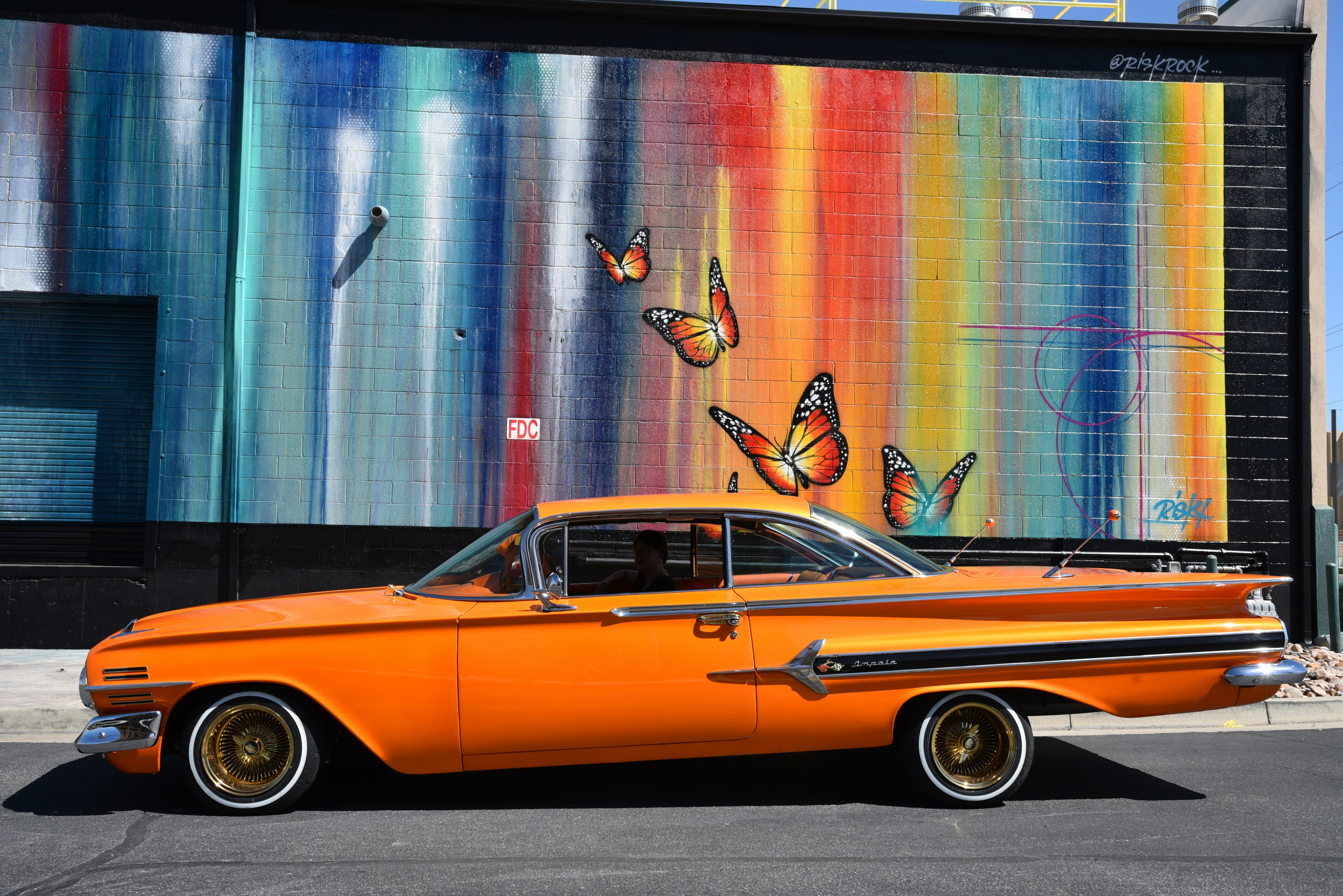 Orange Classic Glide under a Painted Sky of Butterflies
