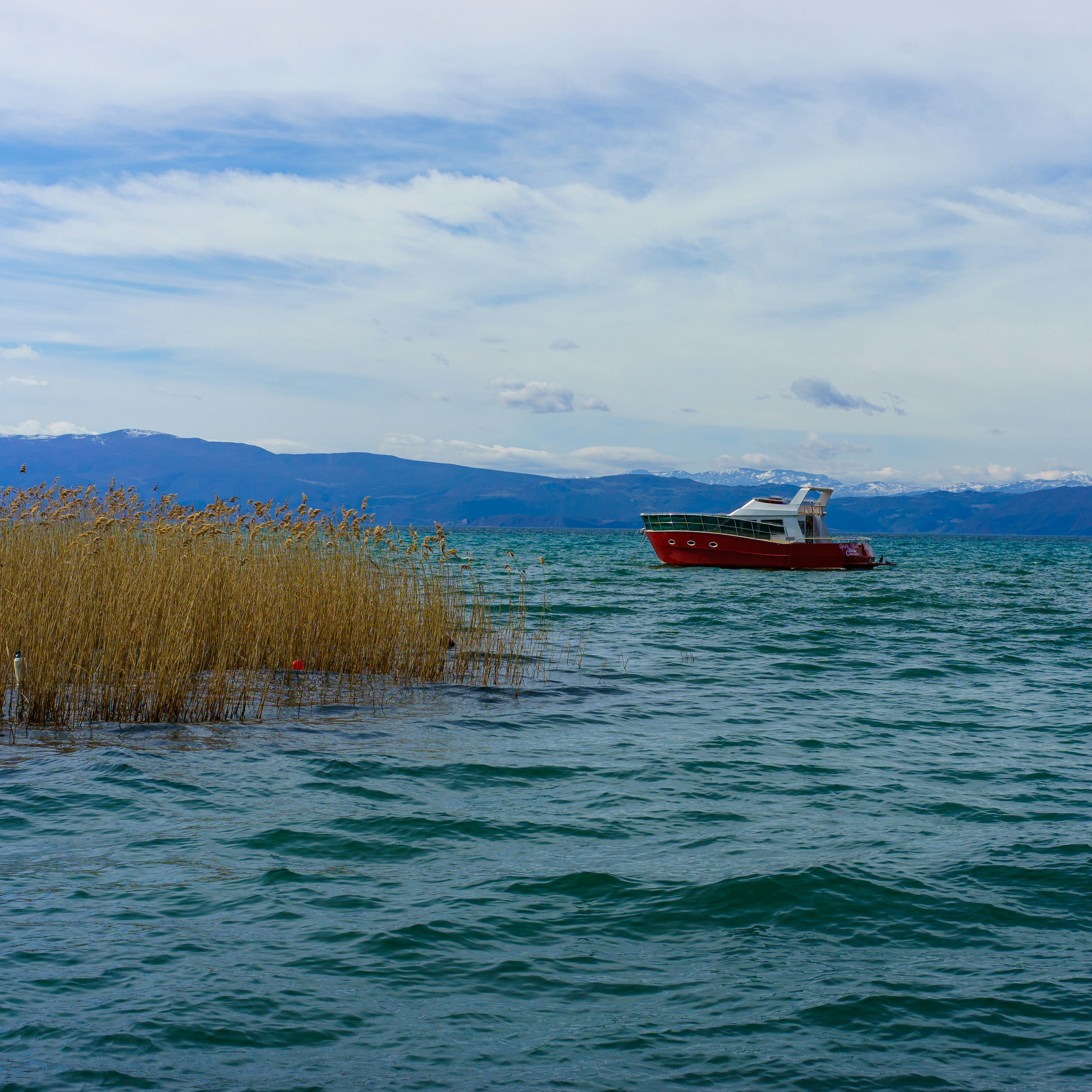 Red Motorboat Amid Reeds on a Serene Lake