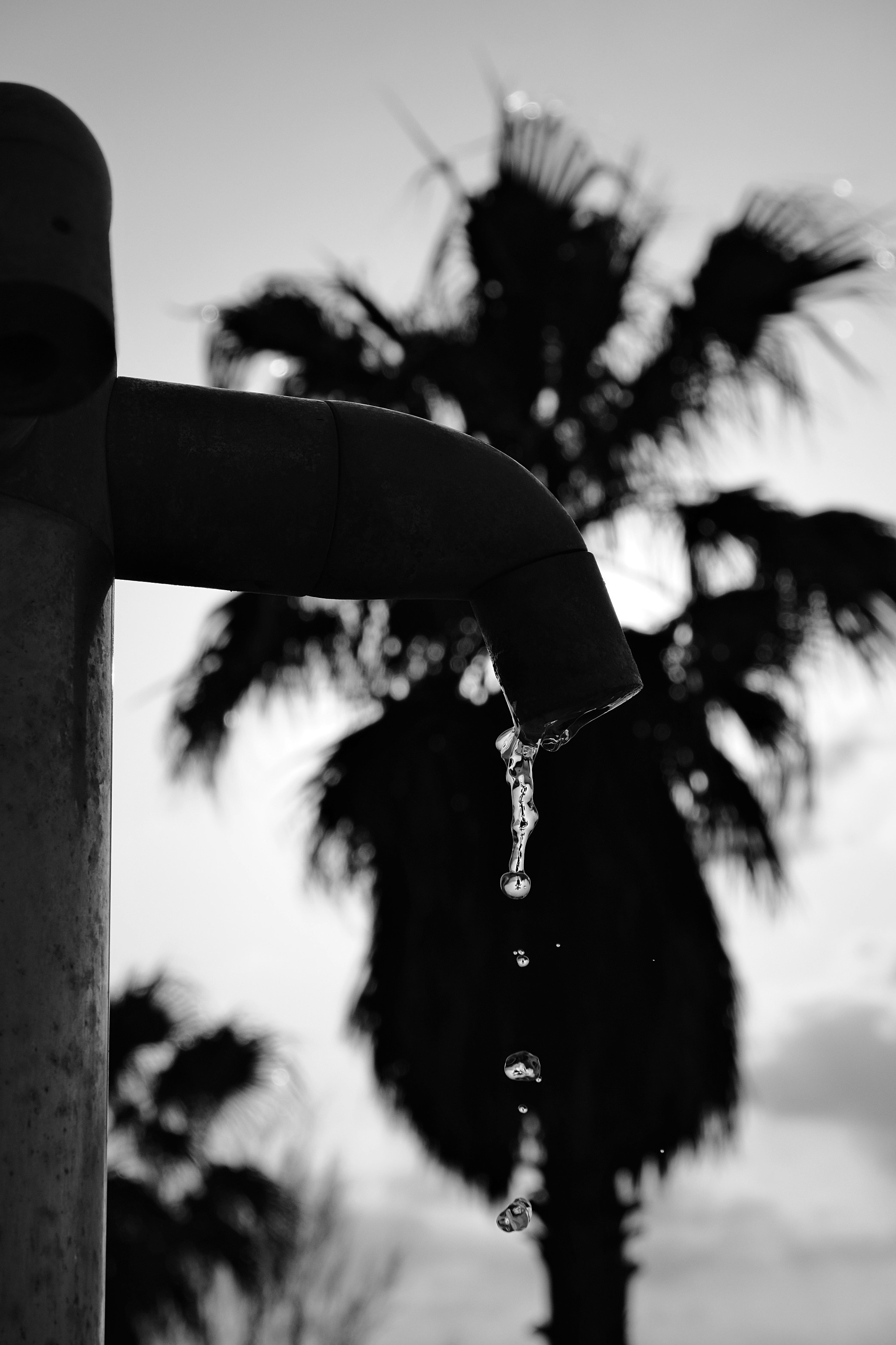 Droplet Sketch: Water Catches the Moment from a Backlit Faucet