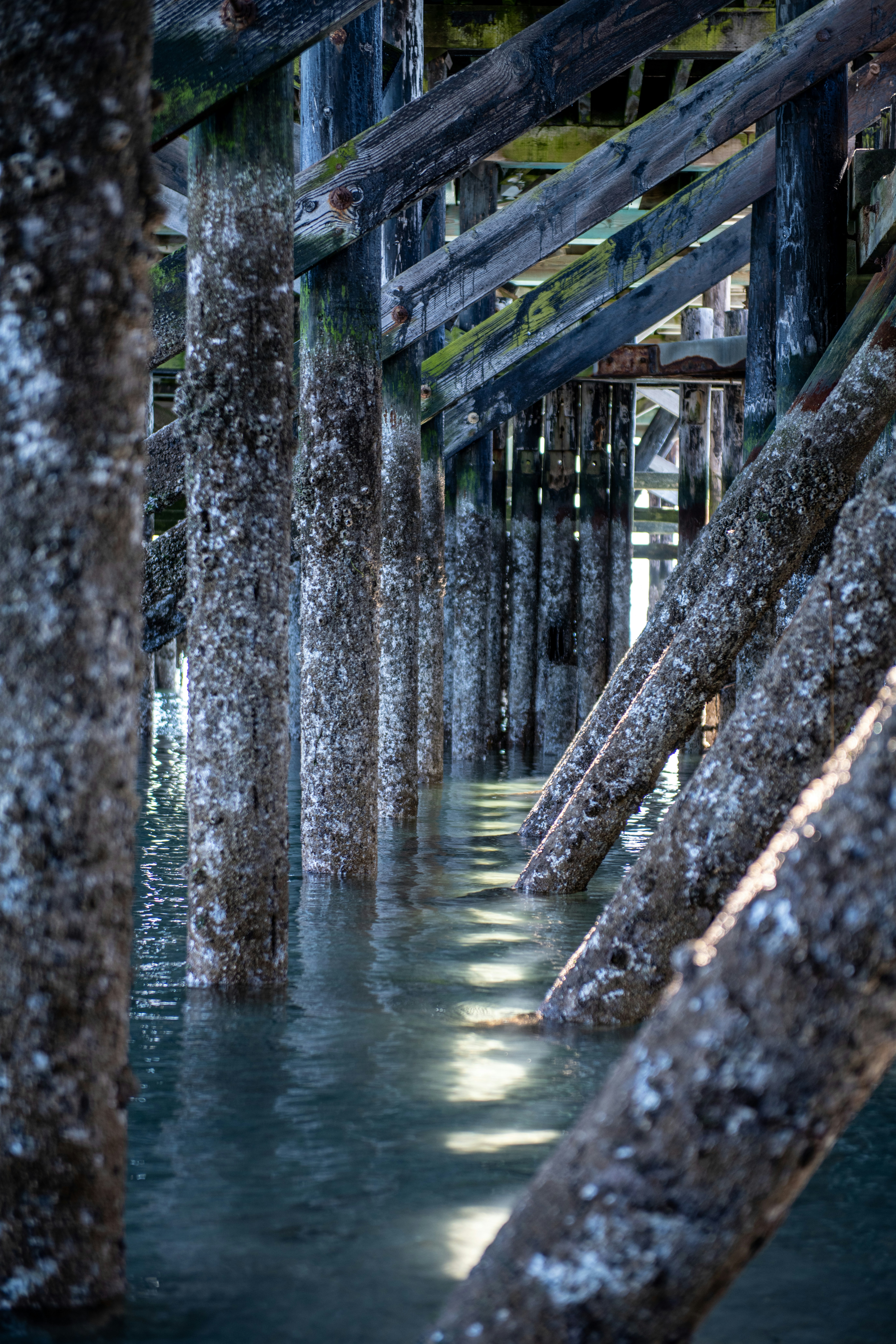 Underwater Pier Columns: Quiet Light Through Weathered Wood