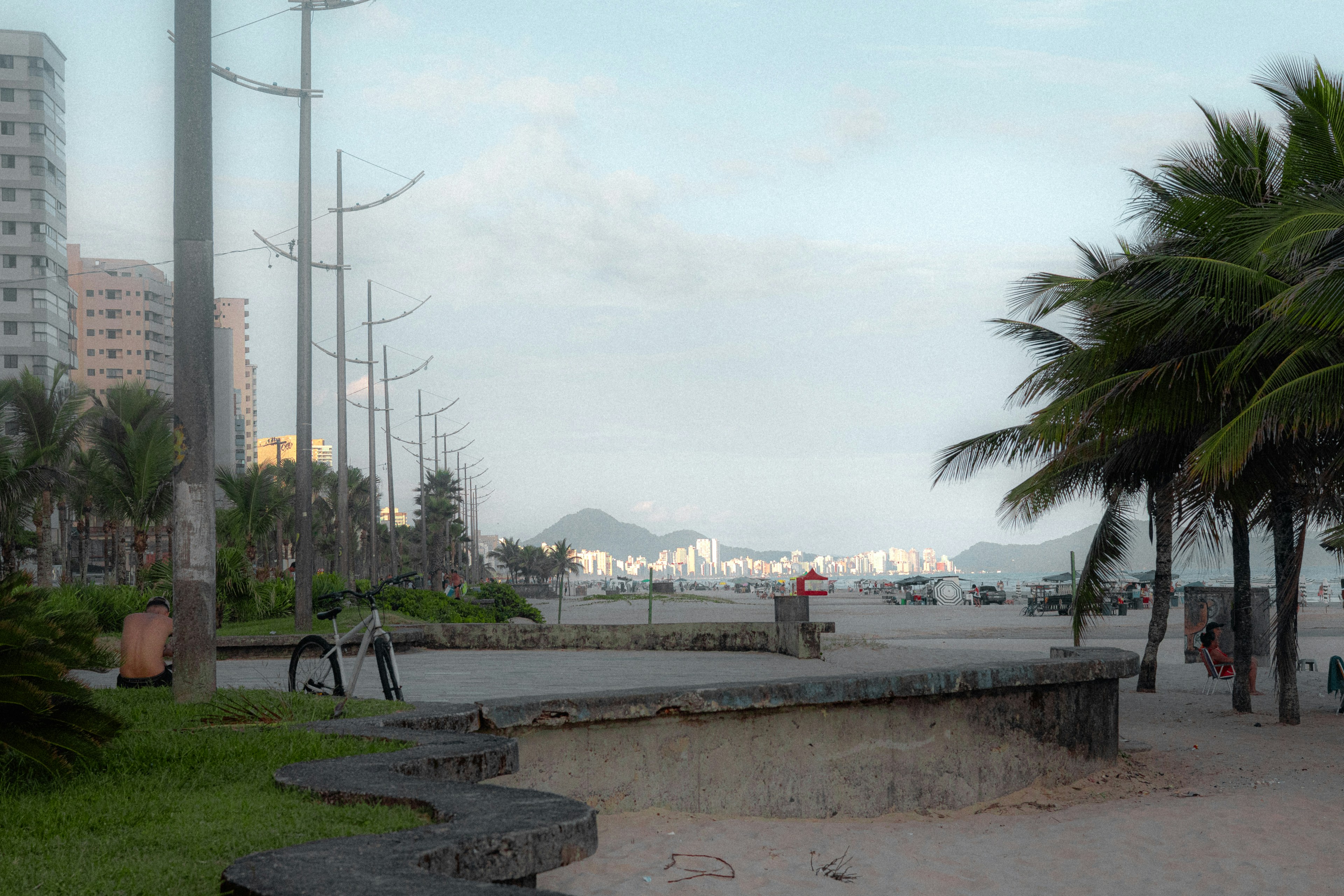 Palm-lined promenade by the calm sea at golden hour