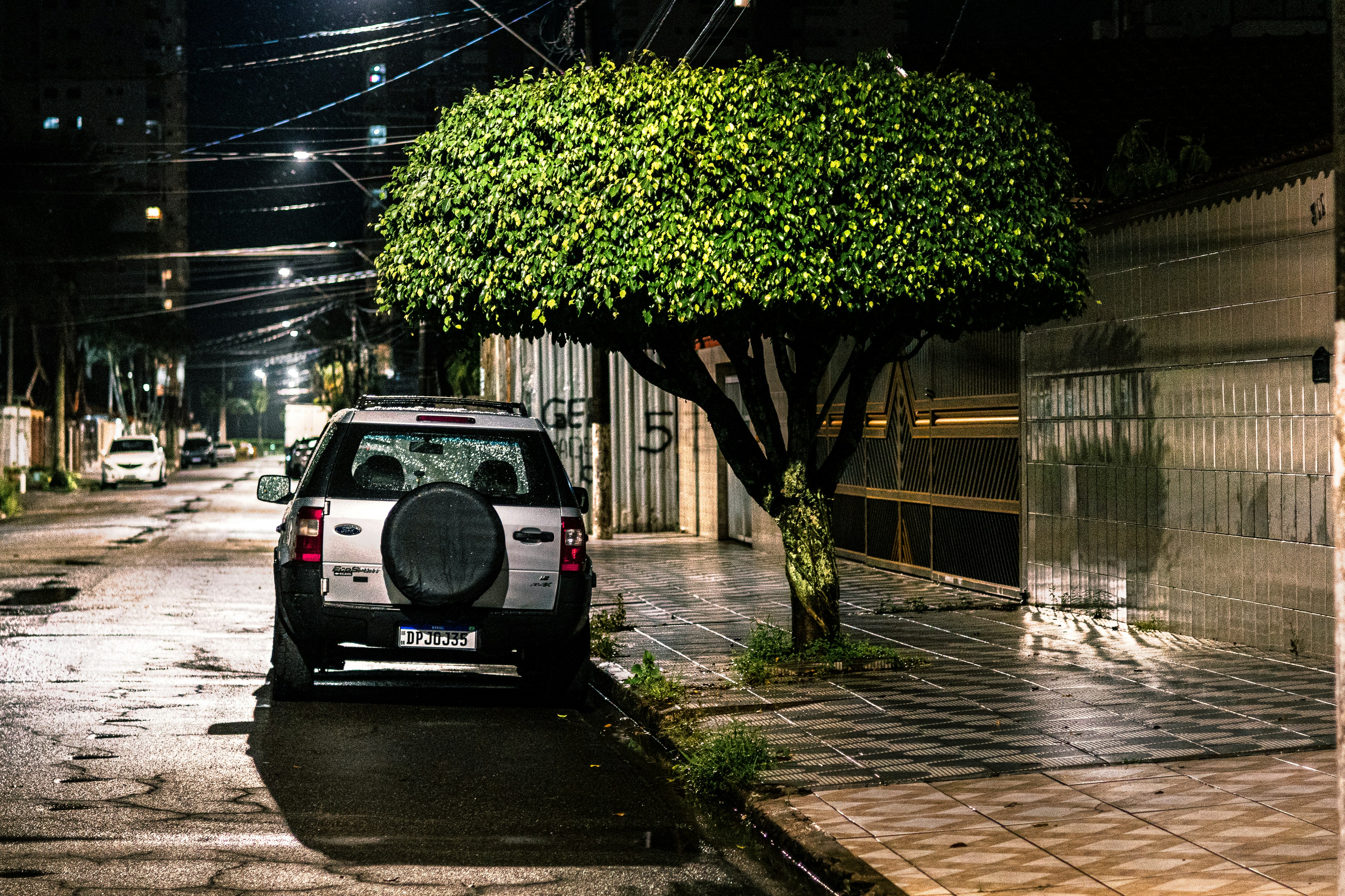 Night Street Quiet: A Tree-Touched Corner of a Rainy Avenue
