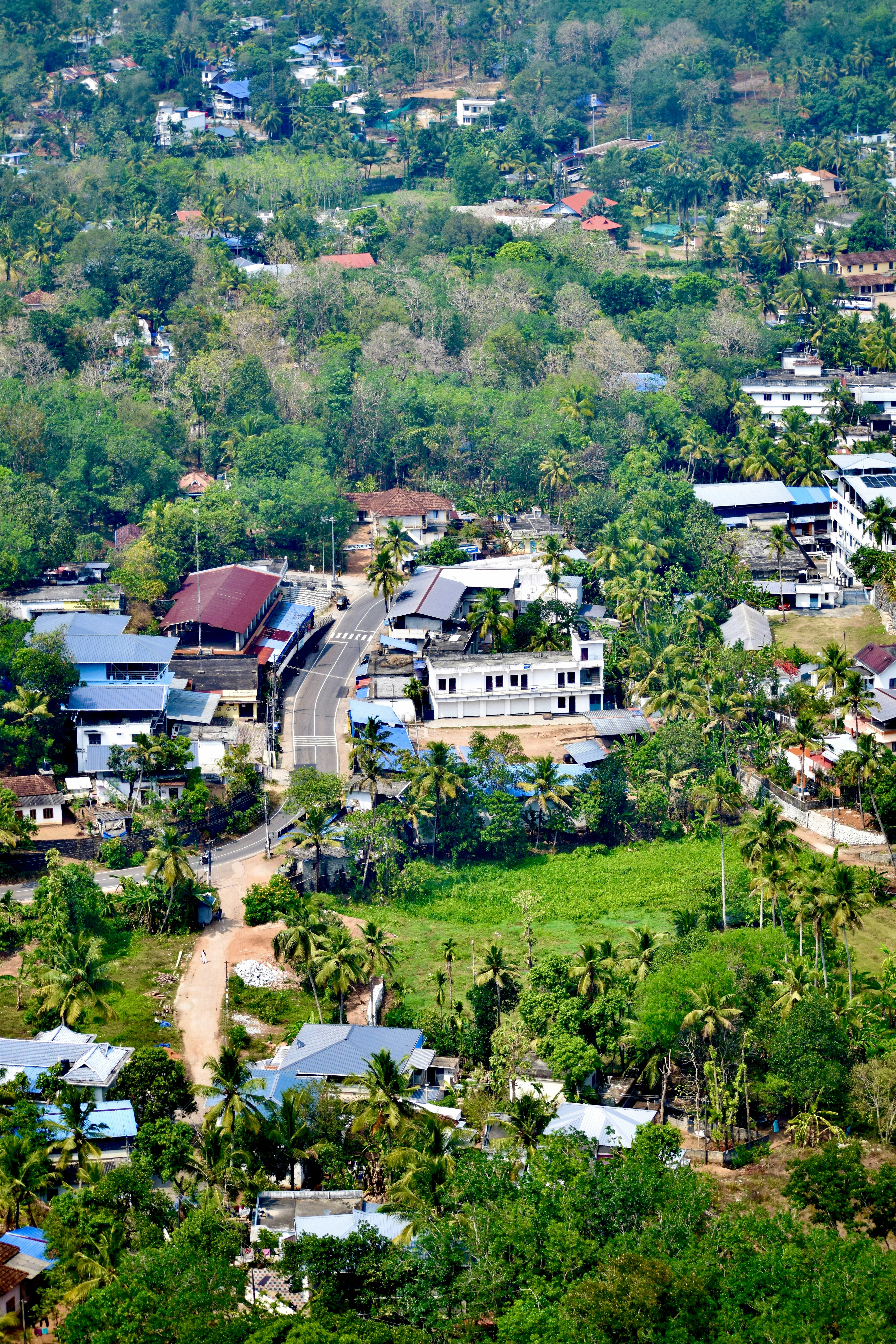 Aerial Tapestry: Palm-lined Village Woven Through Hills