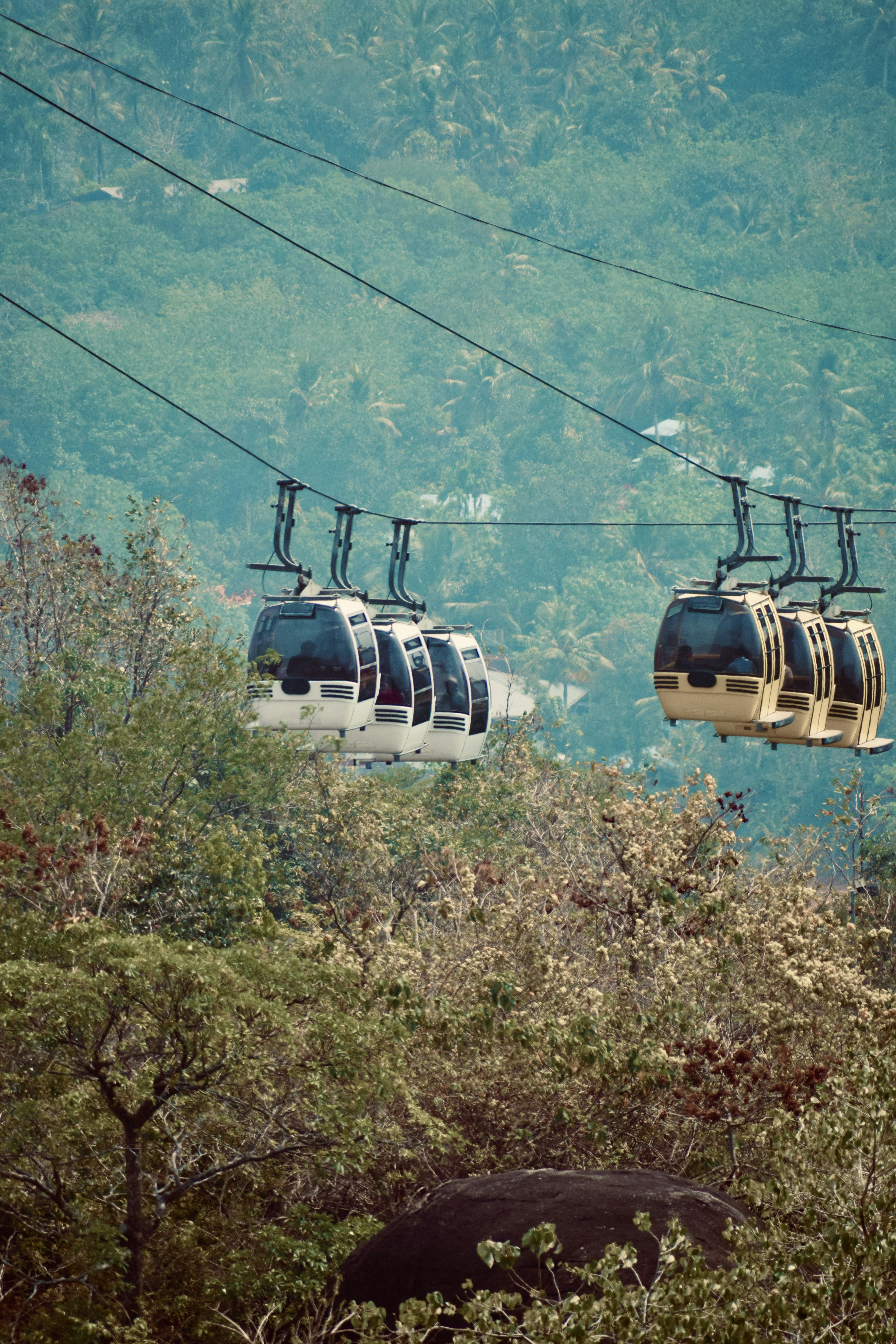 Cable Cars Carve Through a Verdant Valley