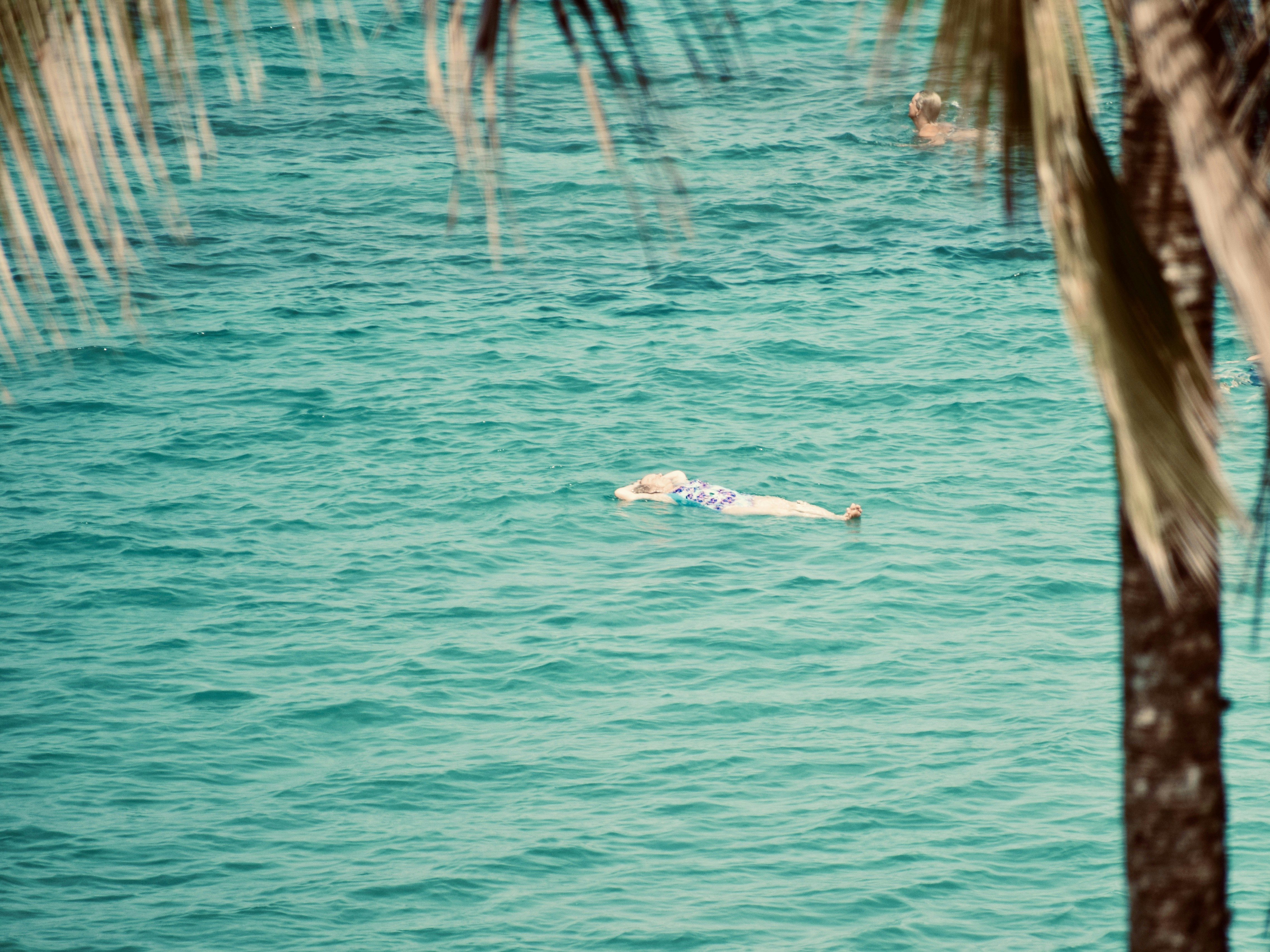 Teal Sea and Palm Fronds: A Quiet Swim Between Turquoise Waves