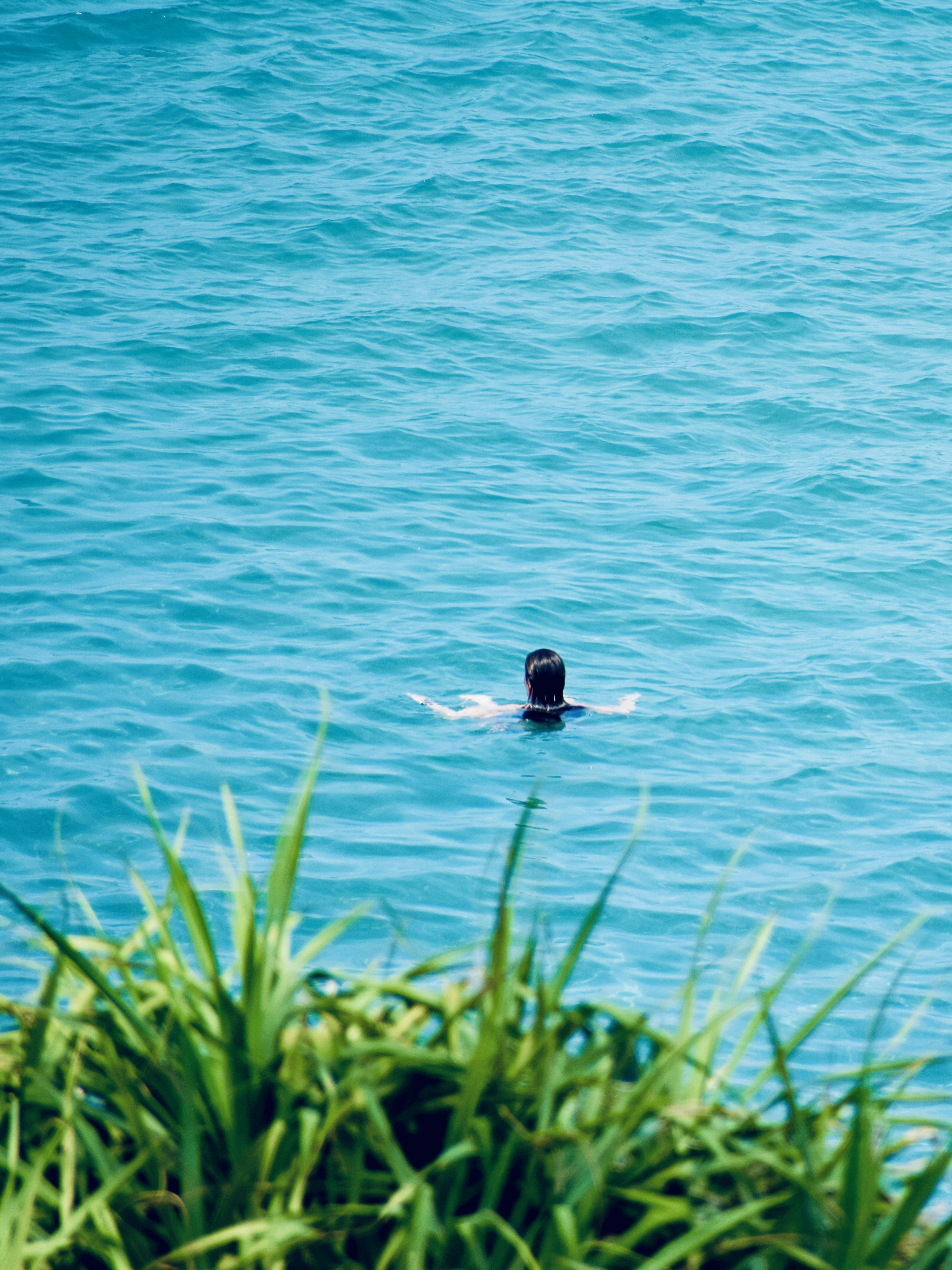  solitary swimmer adrift on turquoise sea, framed by emerald shore