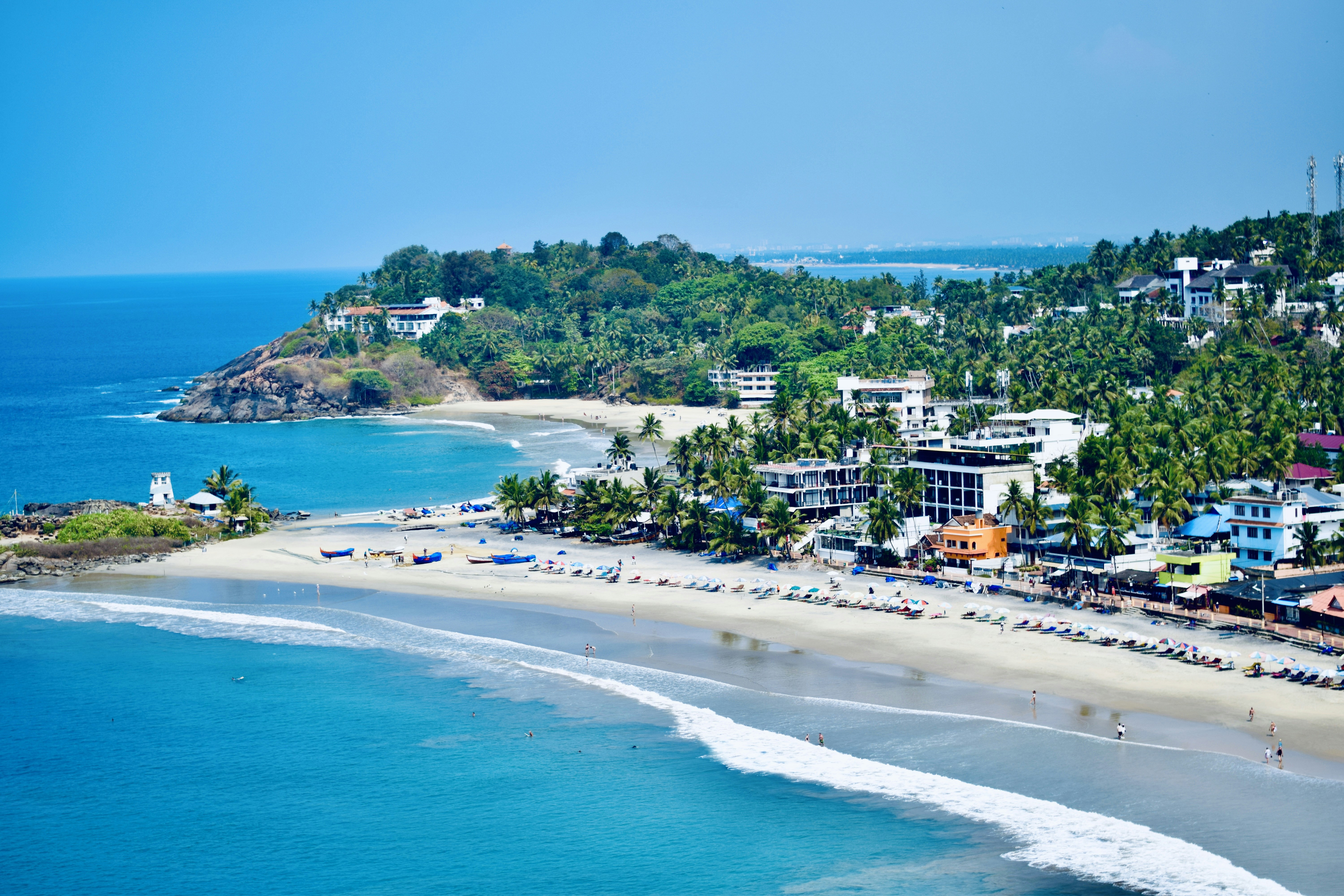 Sunlit Crescent: A Coastal Village Fringed by Palm Trees