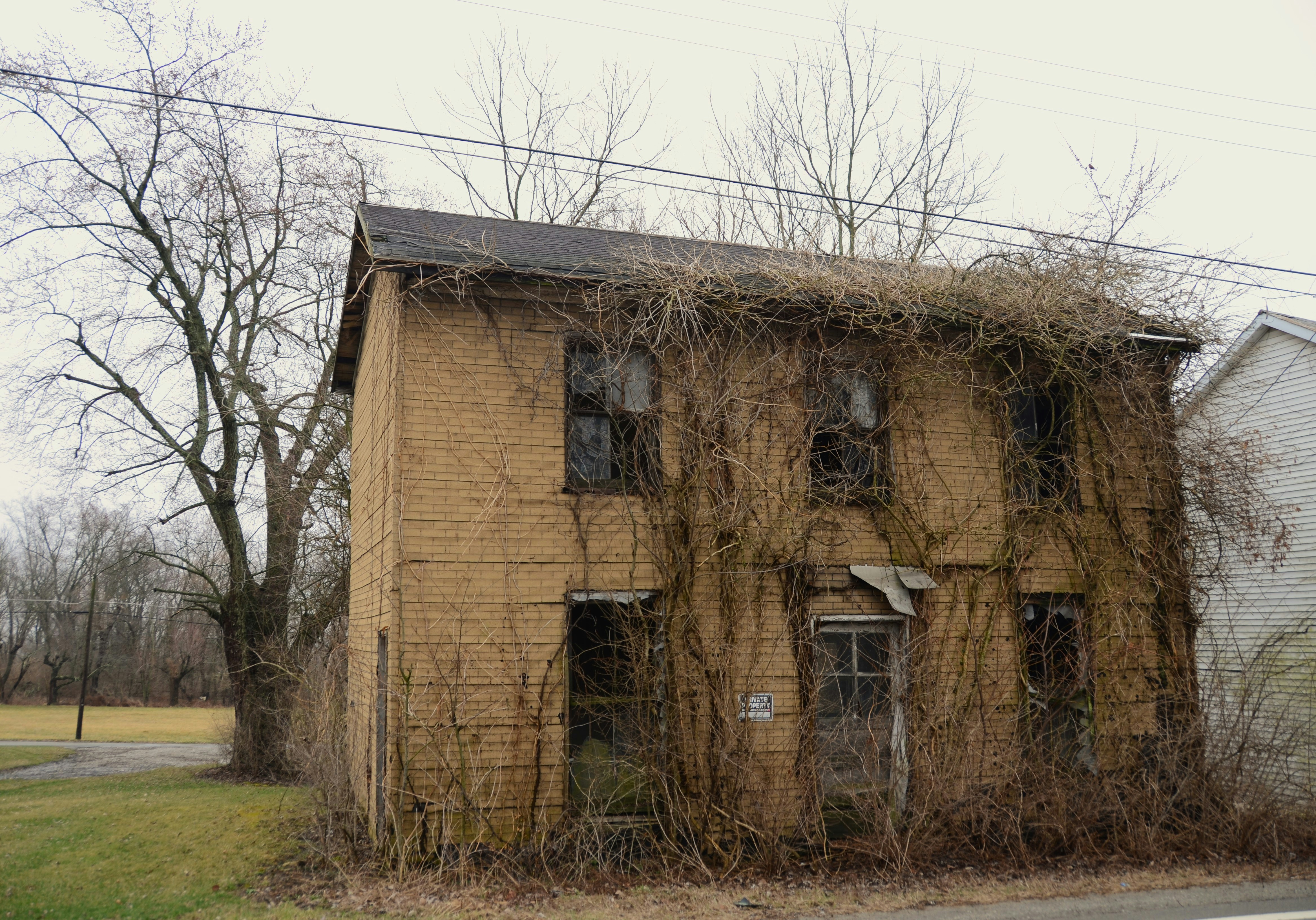 Overgrown Brick House Reaching Toward the Void
