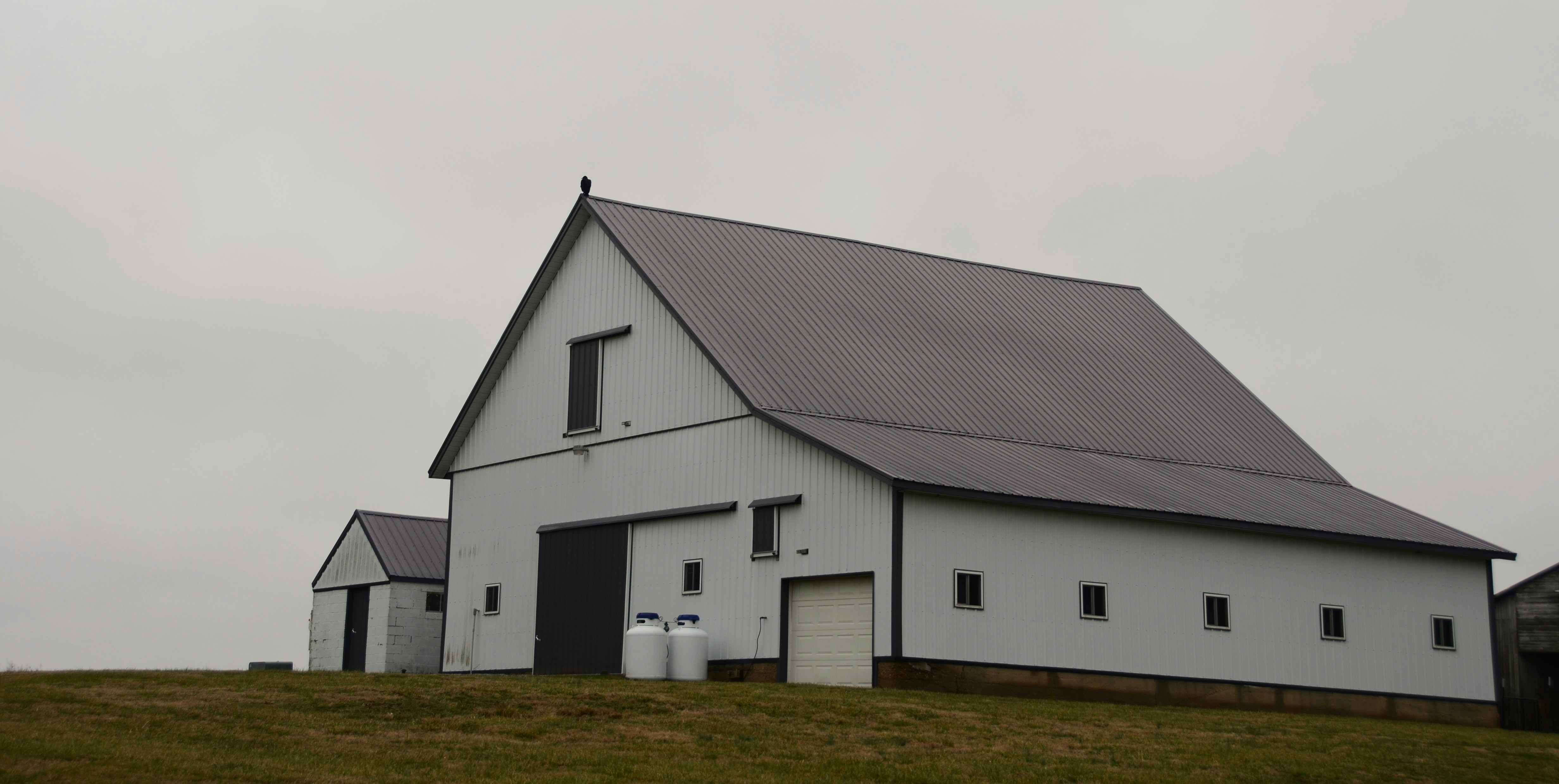 A Quiet Farm Barn Under Overcast skies