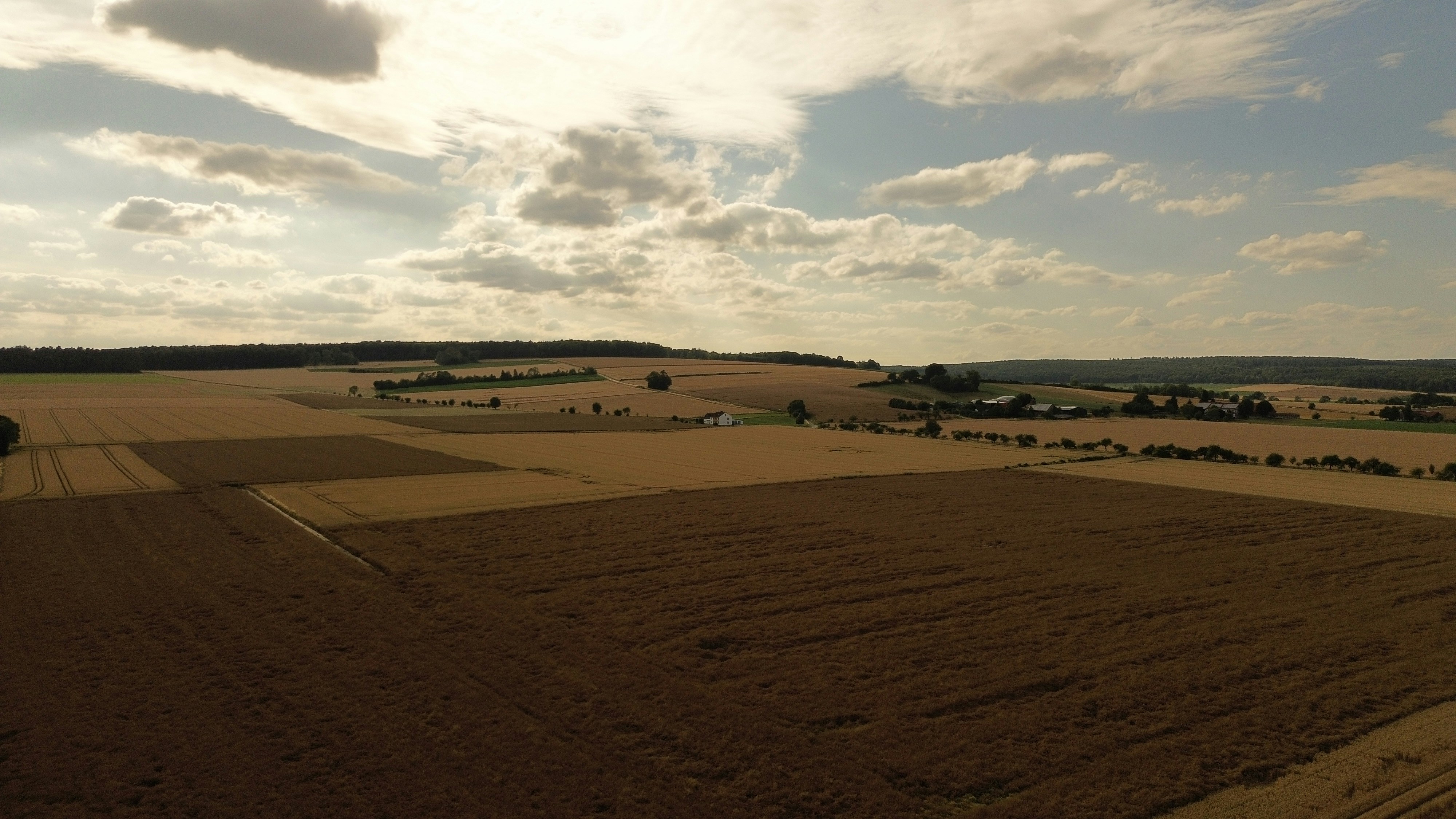 Brushstrokes of Golden Fields Under a Dreamy Sky