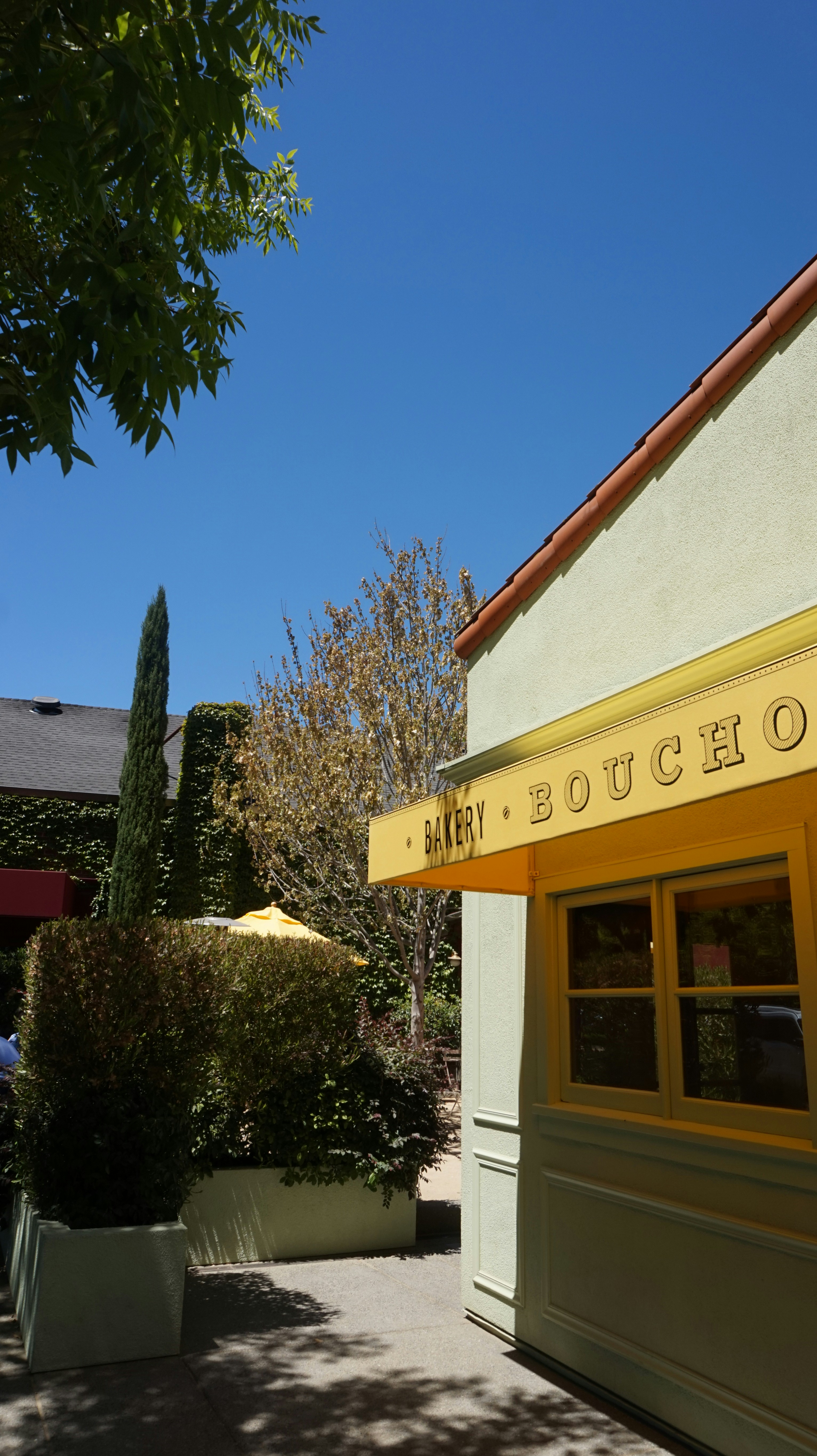 Sunny Corner Bakery: Bright Yellow Window Frame and Green Facade