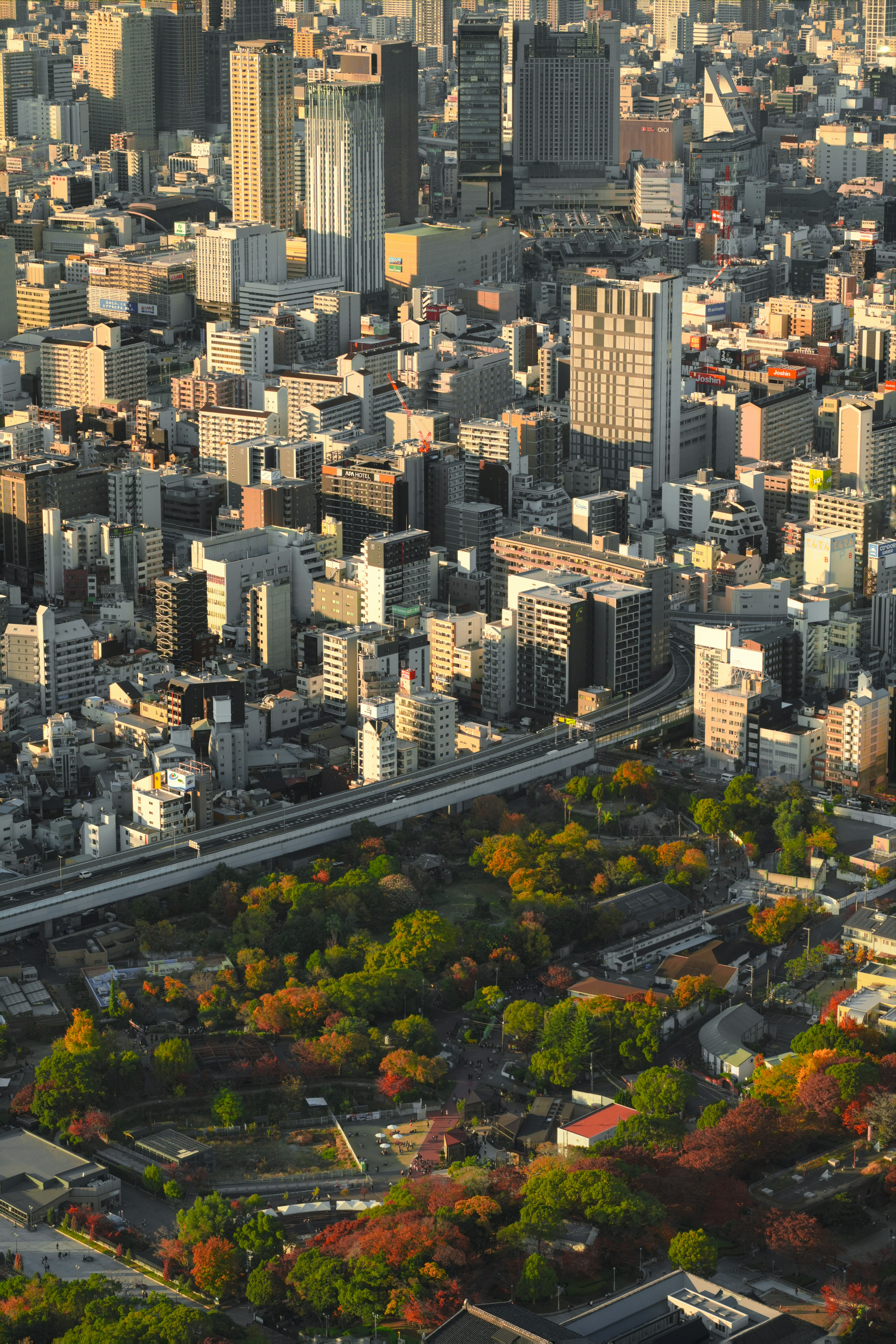 Autumn Cityscape: A Dense Grid of Towers and Tree-lined Periphery