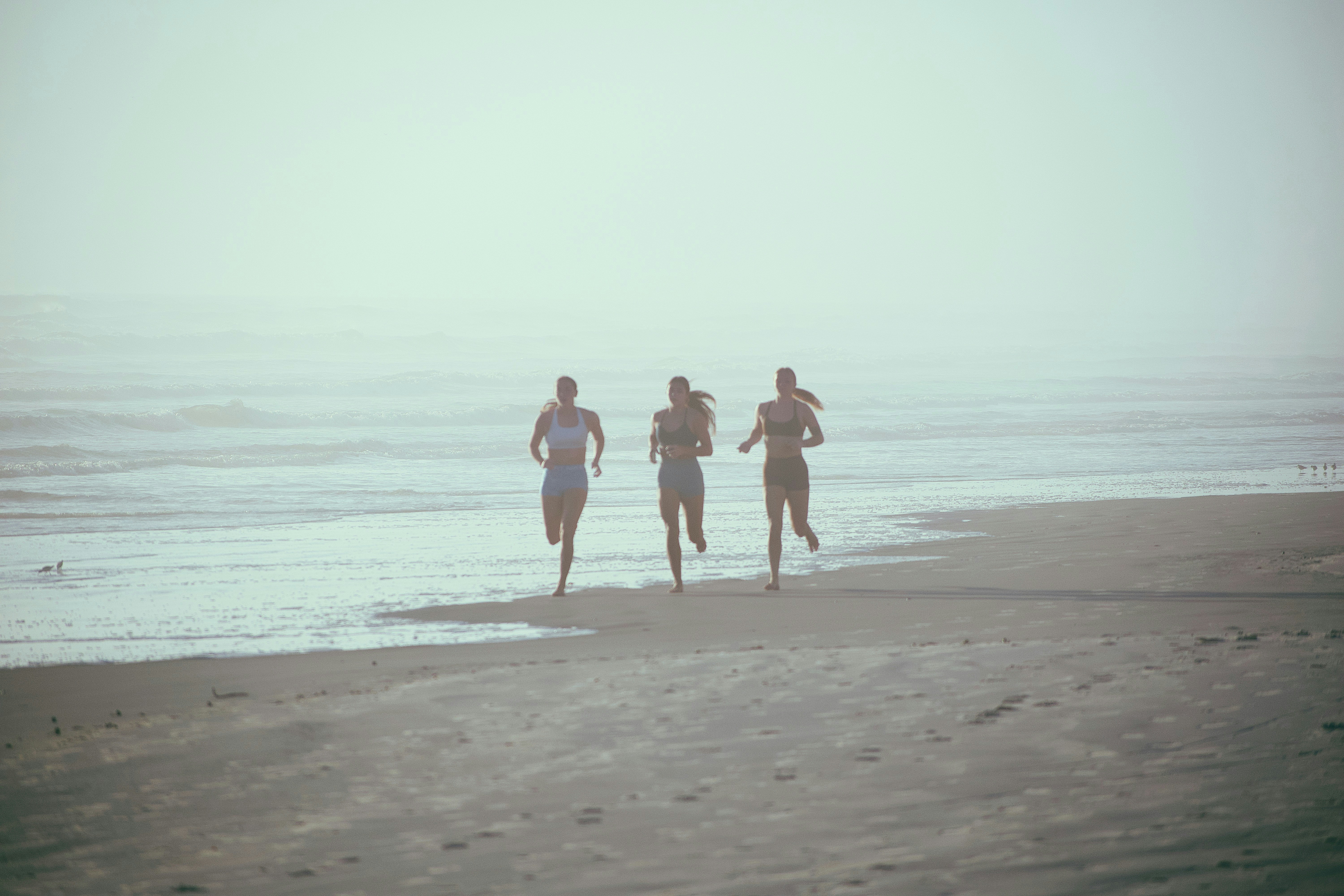 Triad on the Tide: Morning Run Along a Misty Beach