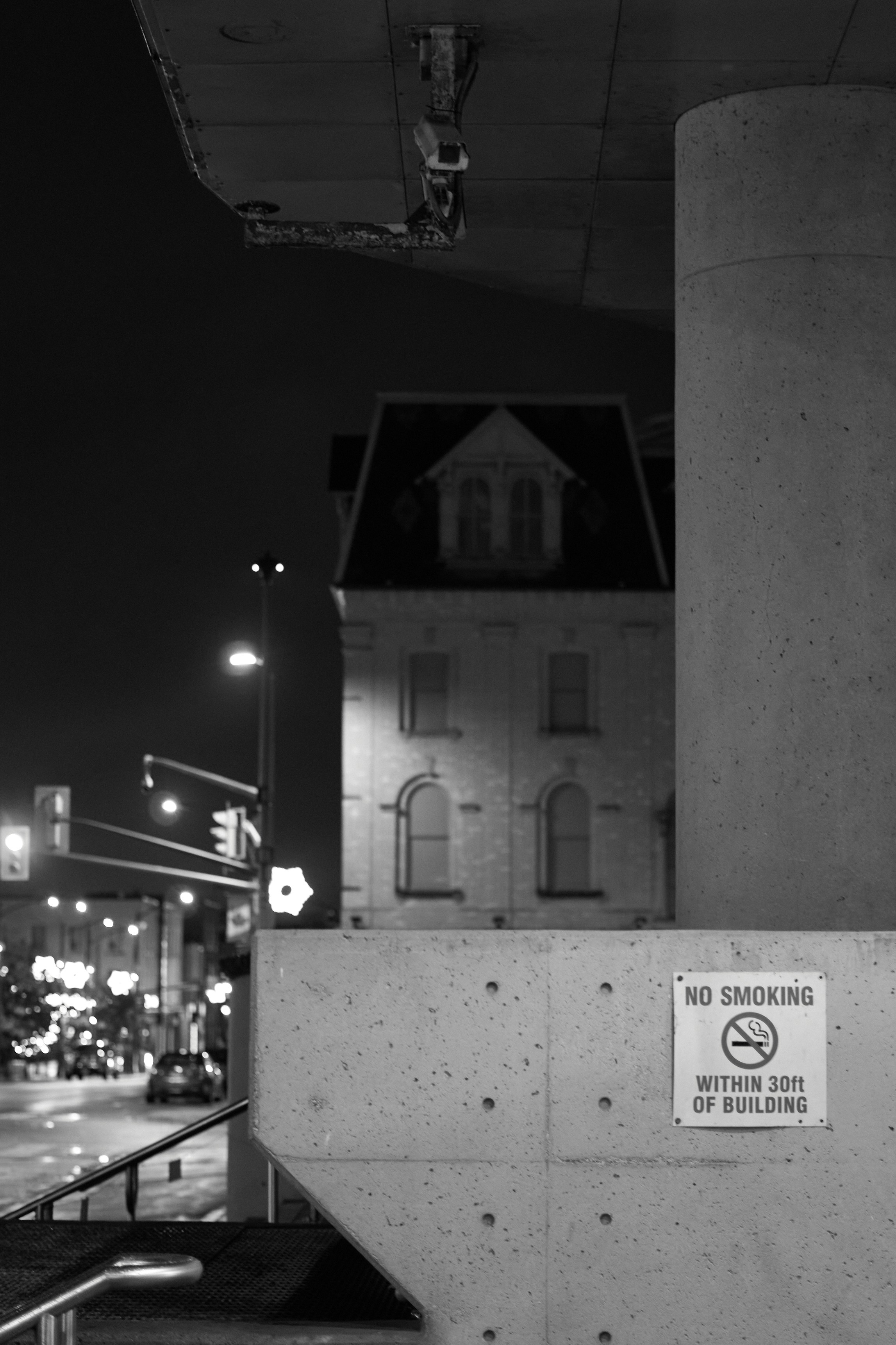 Neon Street Echoes: A Quiet Night at the Concrete Fragrance