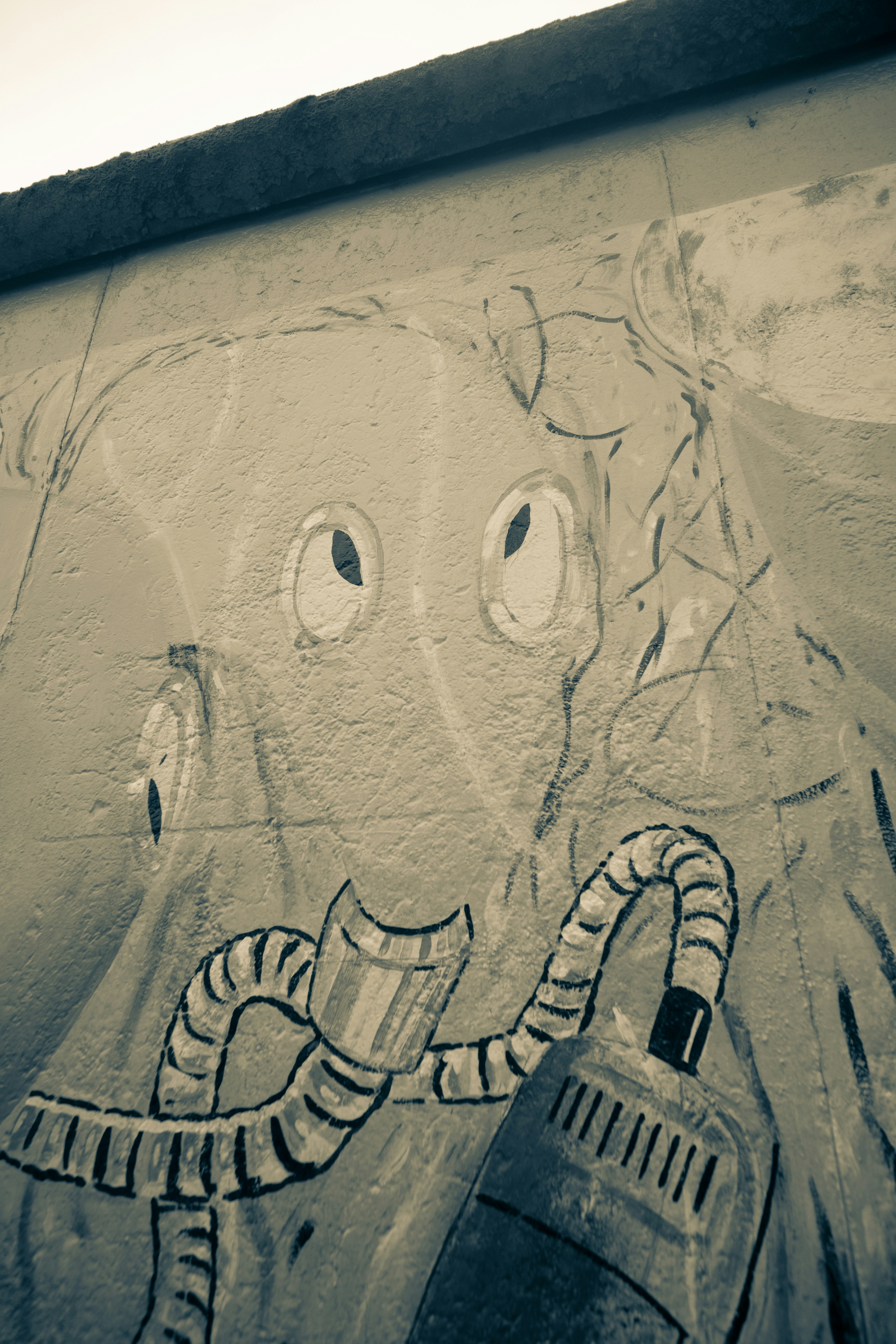 Graffiti-Gilled Character: A Cartoon Face Emerges from the Concrete
