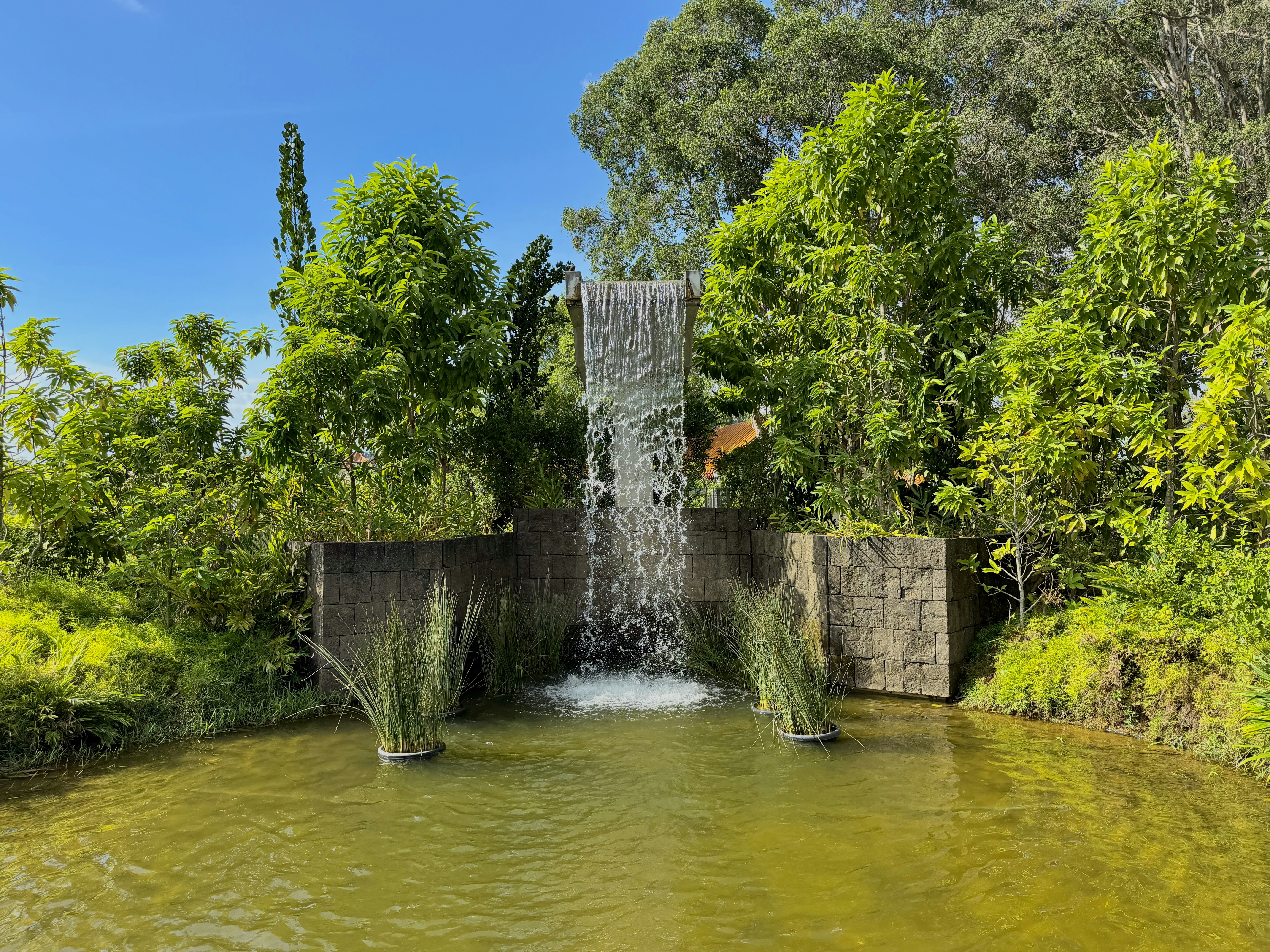 Central Cascade: A Sunlit Fountain Framed by Lush Greenery